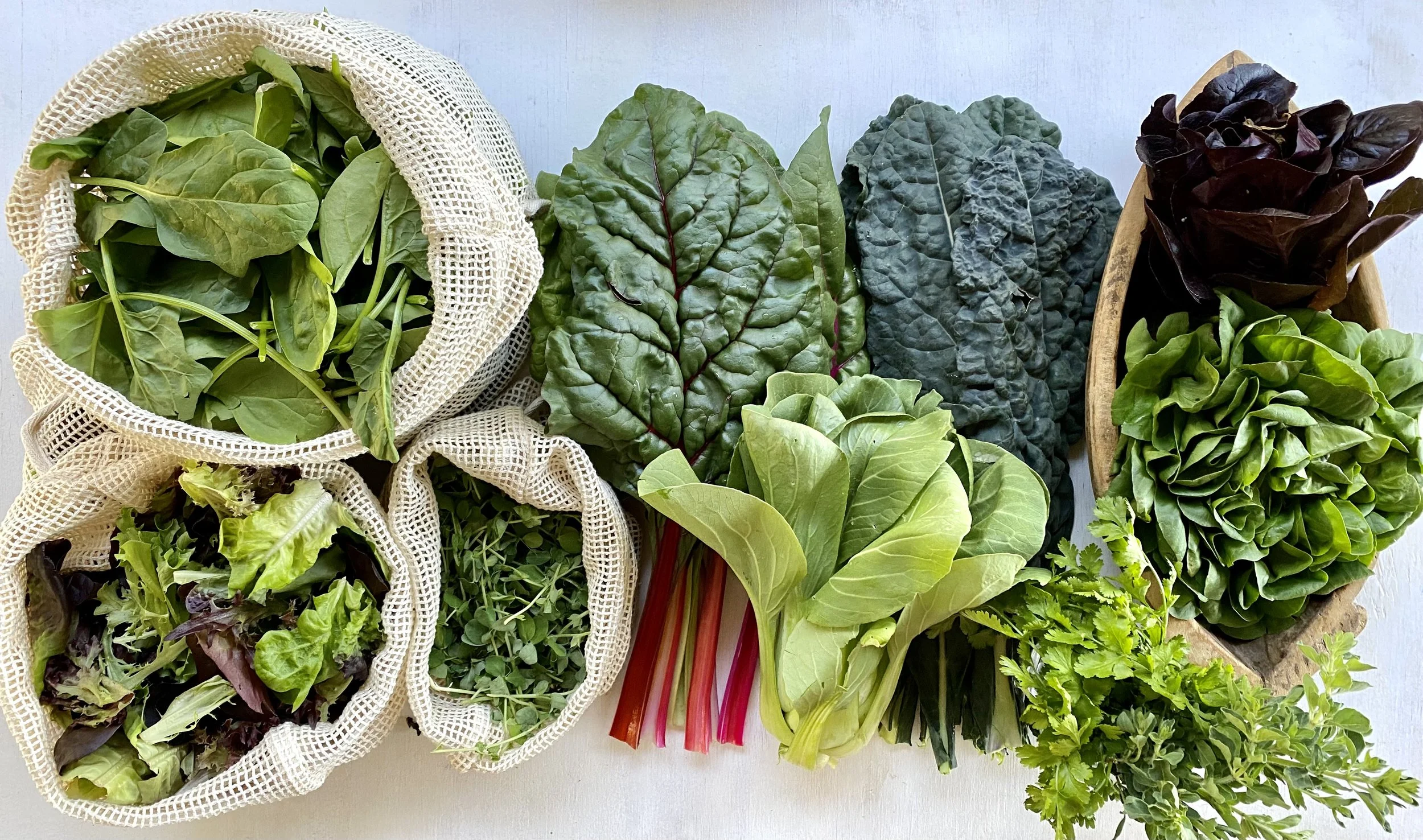 Two Roots Farm CSA — Two Roots Farm