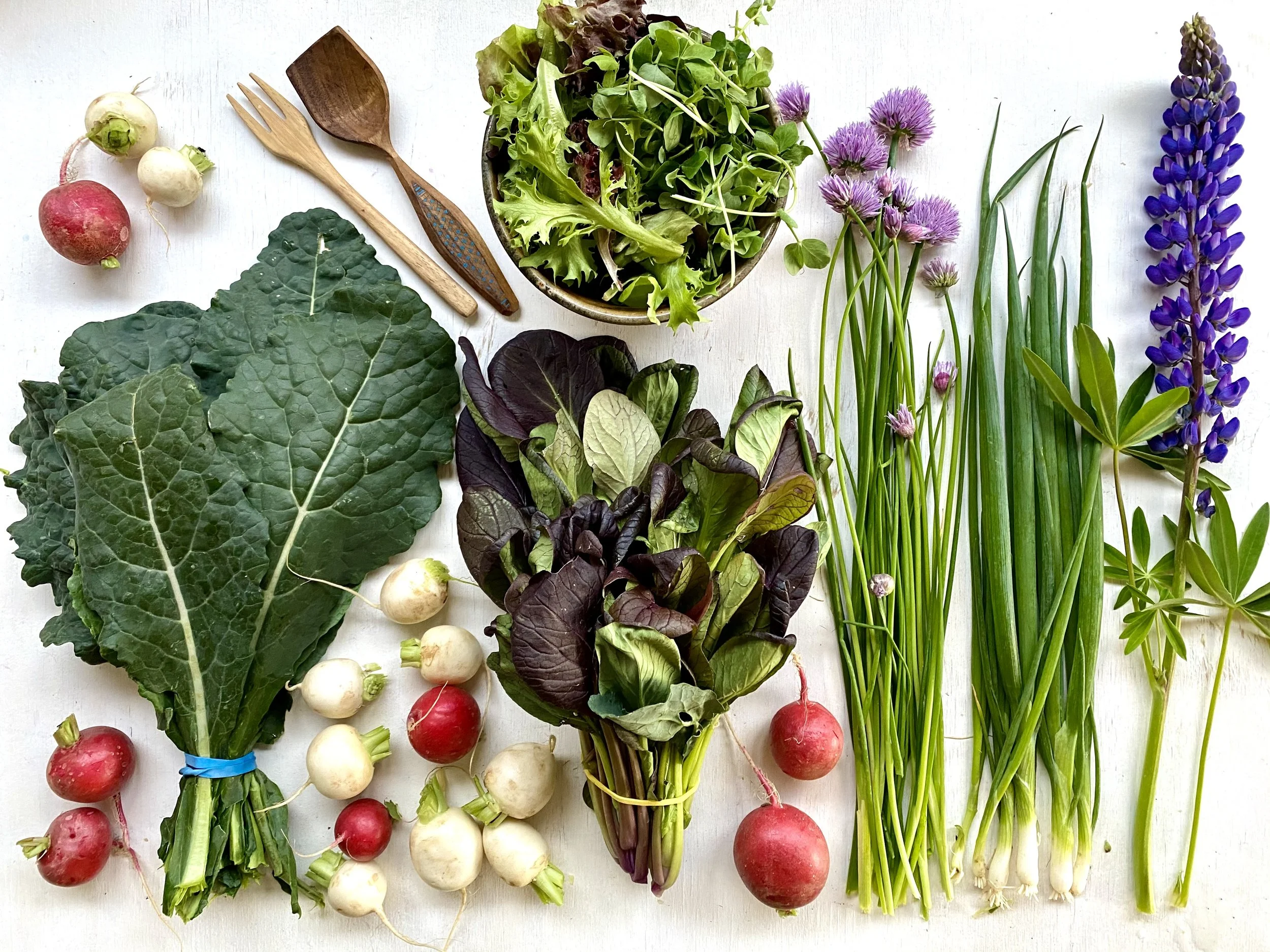 Two Roots Farm CSA — Two Roots Farm