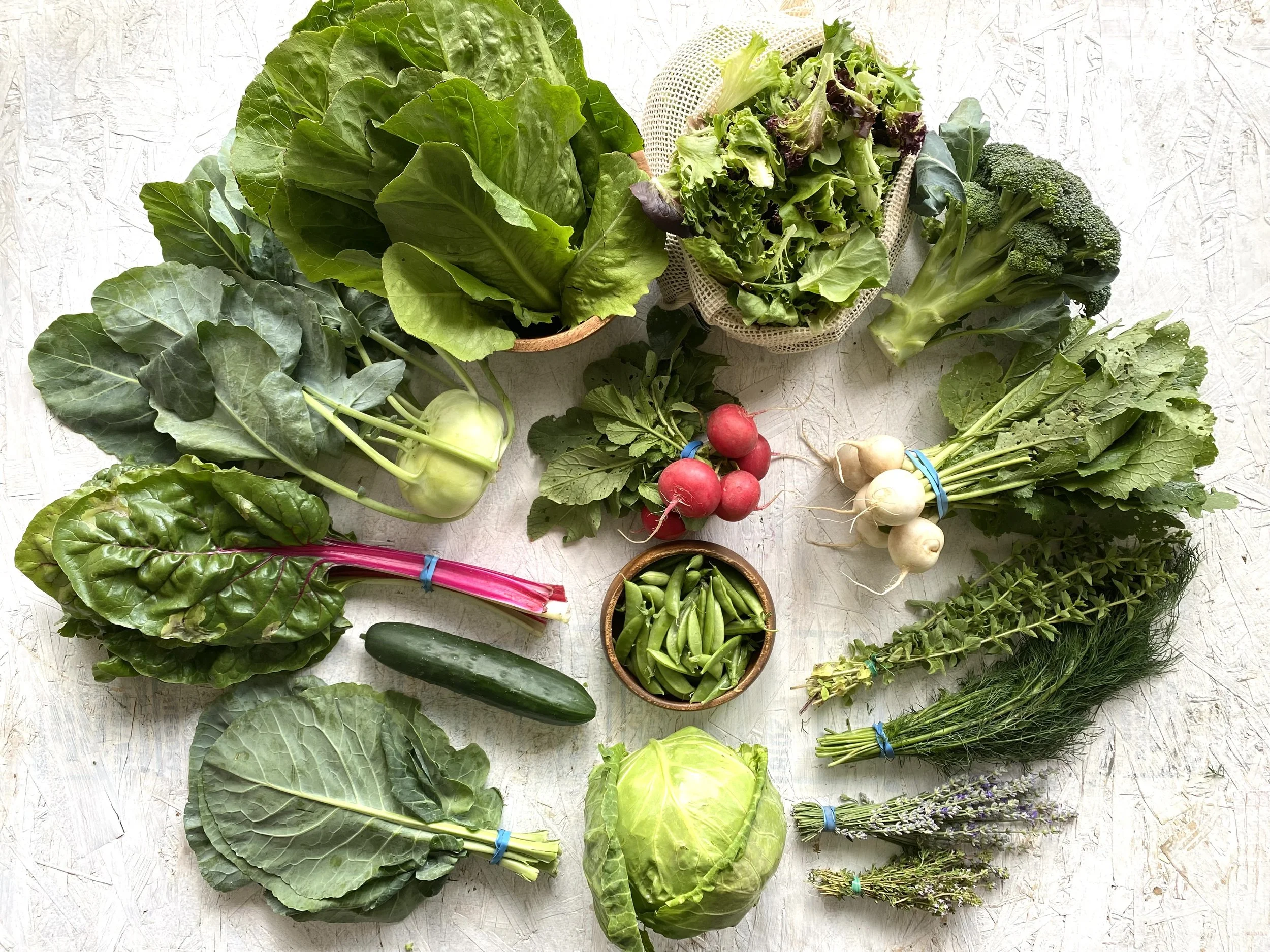 Two Roots Farm CSA — Two Roots Farm