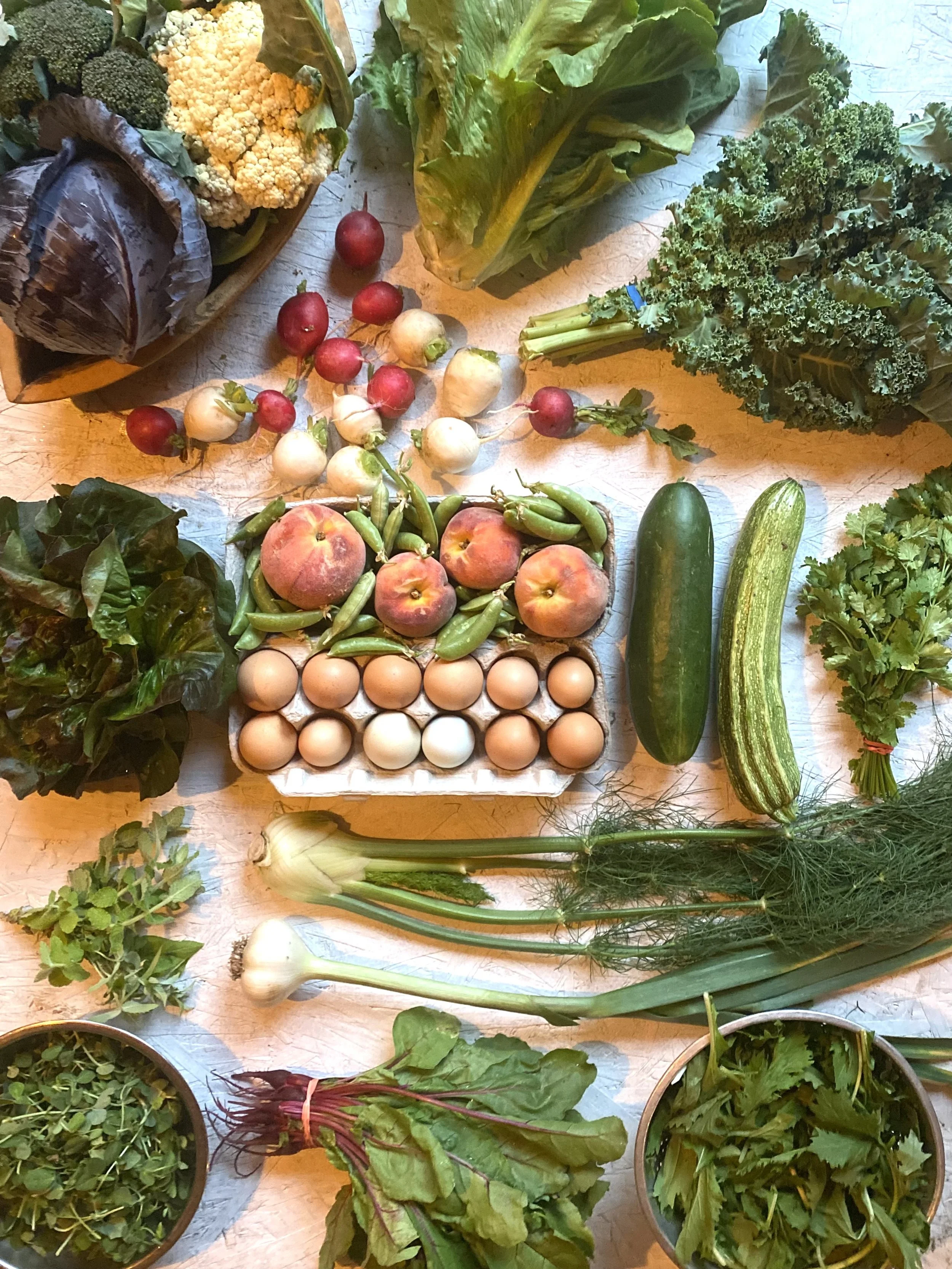 Two Roots Farm CSA — Two Roots Farm