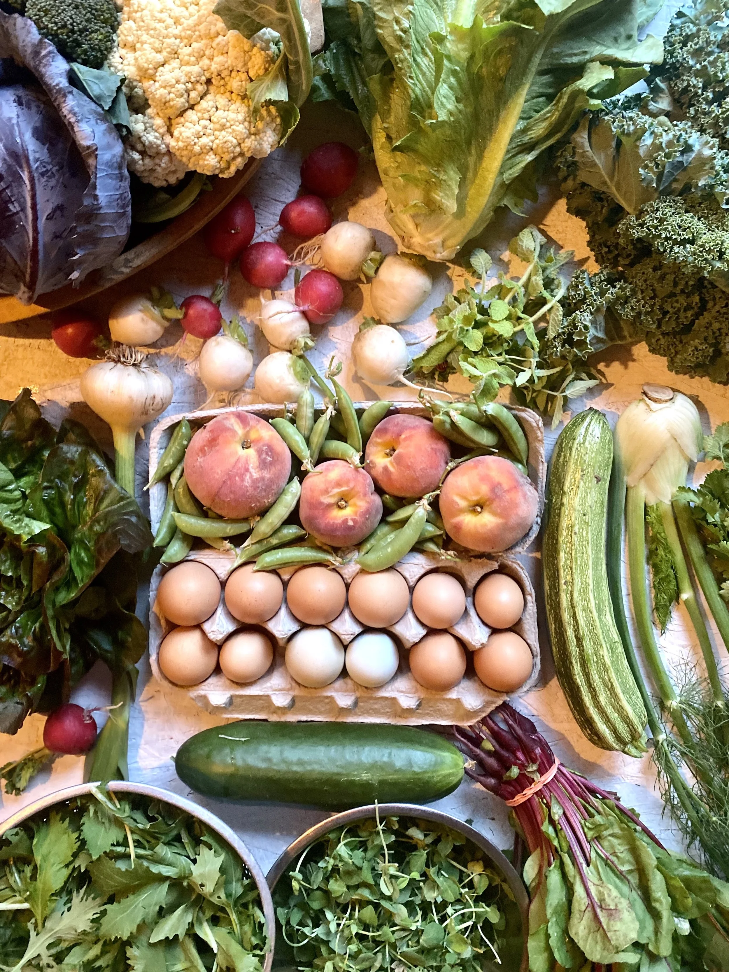 Two Roots Farm CSA — Two Roots Farm