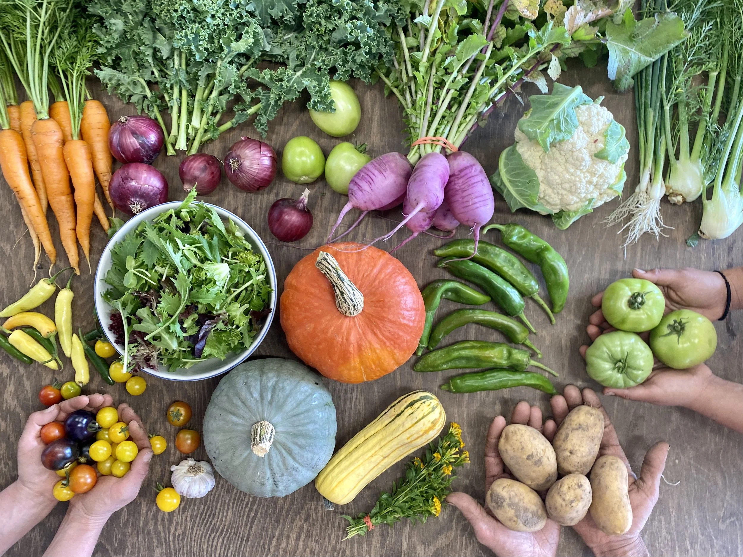 Two Roots Farm CSA — Two Roots Farm