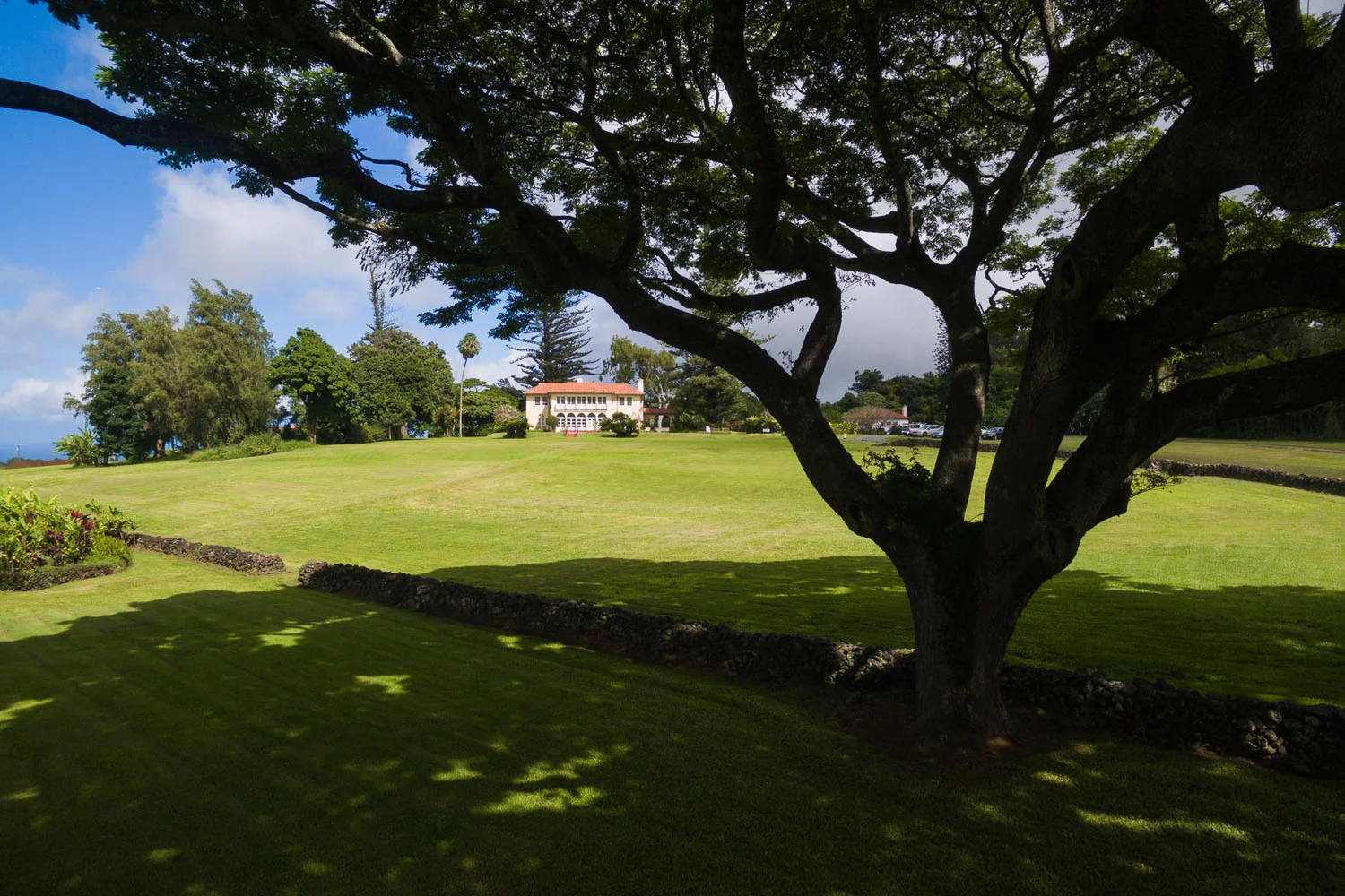 Tour Kaluanui — Hui No‘eau Visual Arts Center | Art Classes, Tours ...