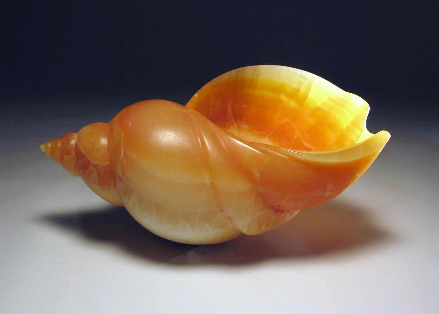 Beneath the Surface: Marine Life of Hawai‘i — Hui No‘eau Visual Arts ...