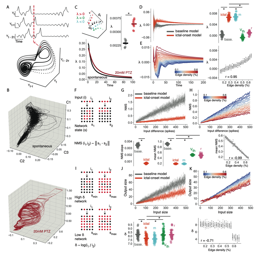 Modelling Epilepsy in Zebrafish — Dynamic Brains