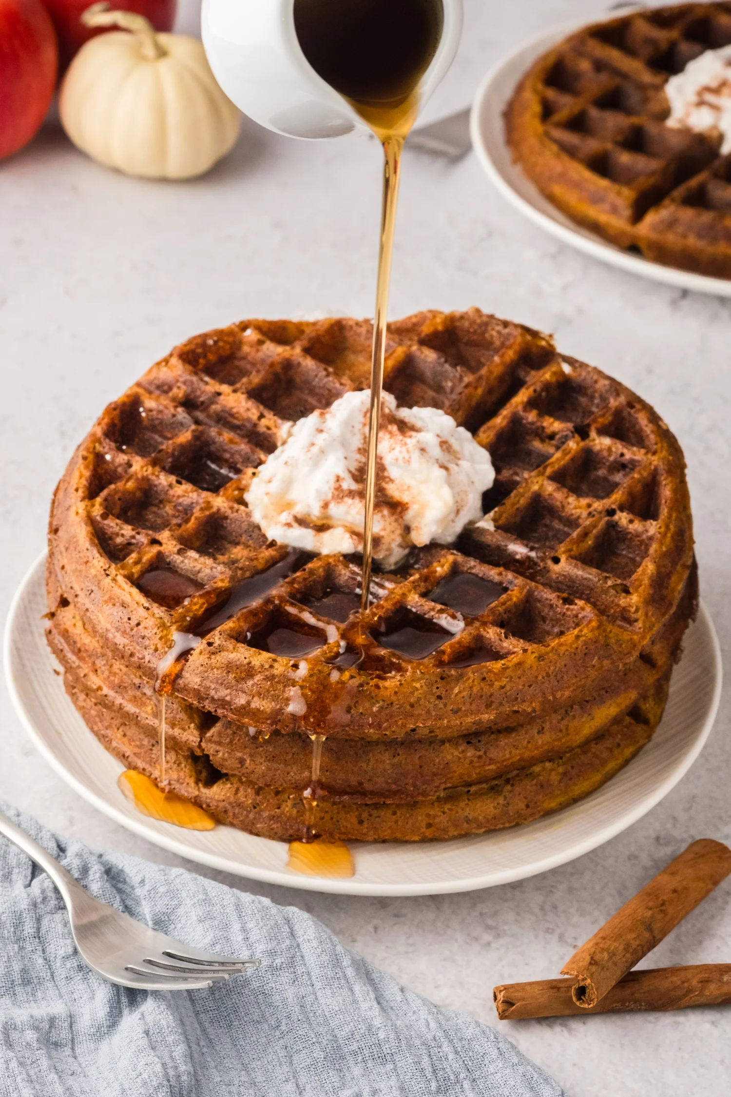 WFPB Pumpkin Blender Waffles (gluten free, oil free, and vegan) — Tess ...