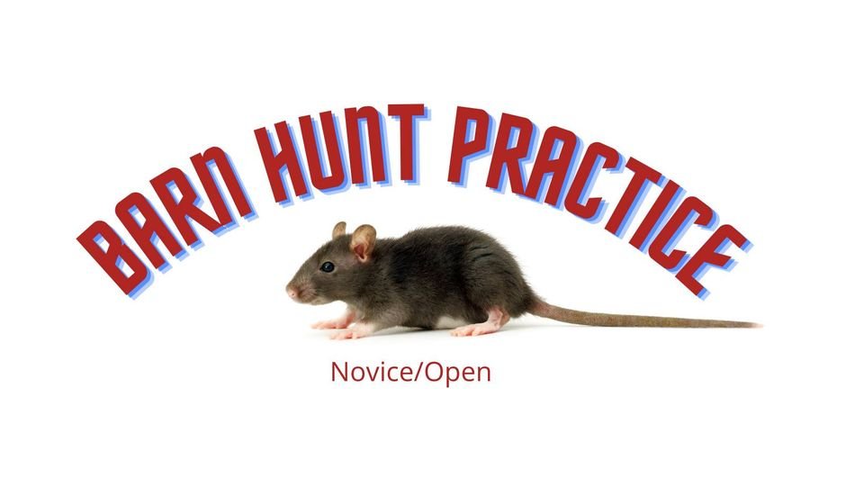 Events — Canine Aventures