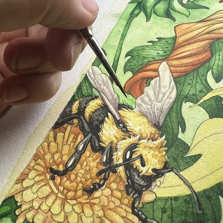Tiffany England illustrations