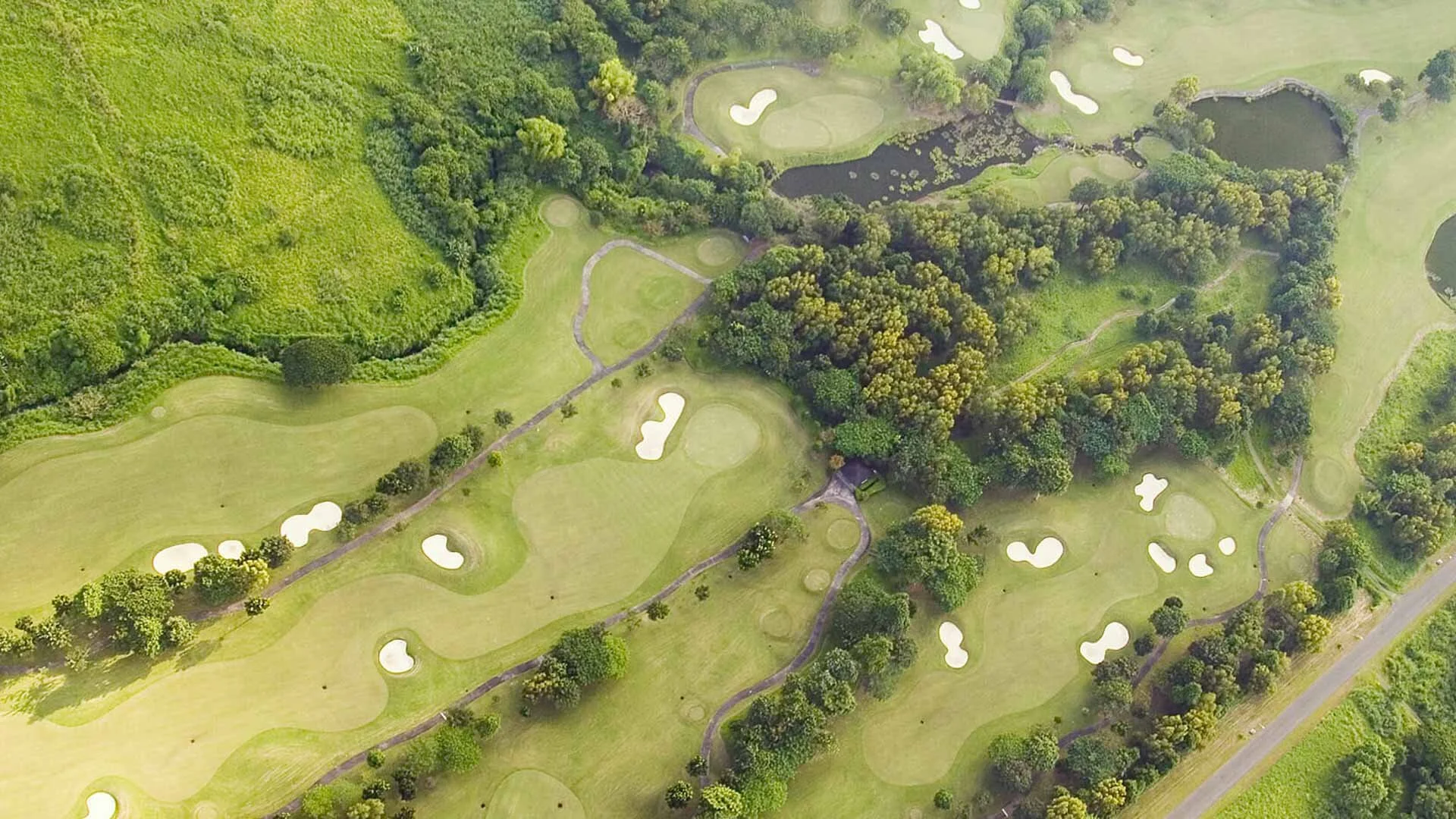 An Overview of the Best Golf Courses in the Philippines — Golf Pad
