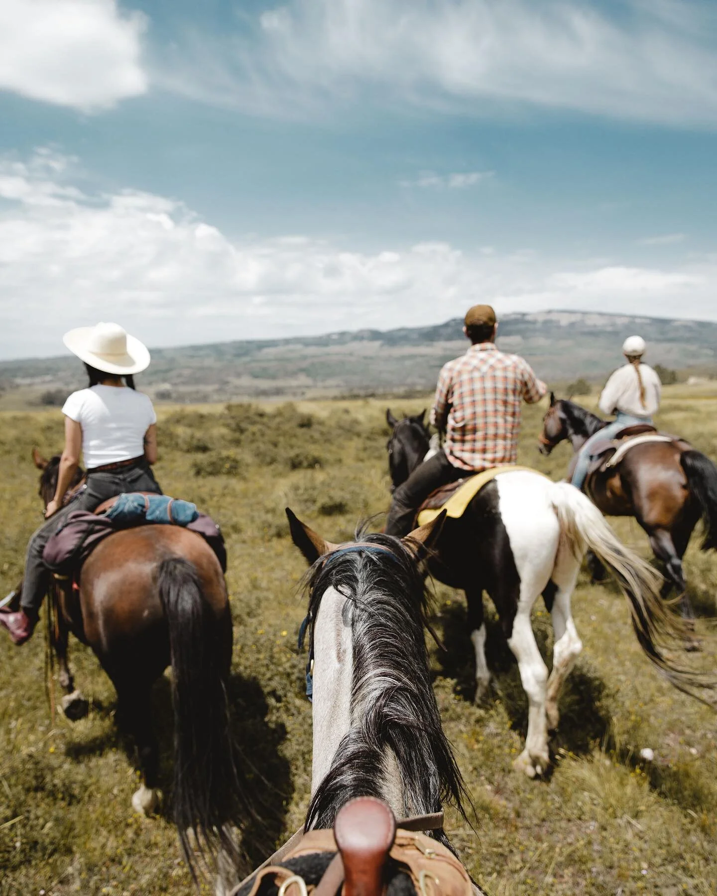 Photos — Red Horse Riding Co.