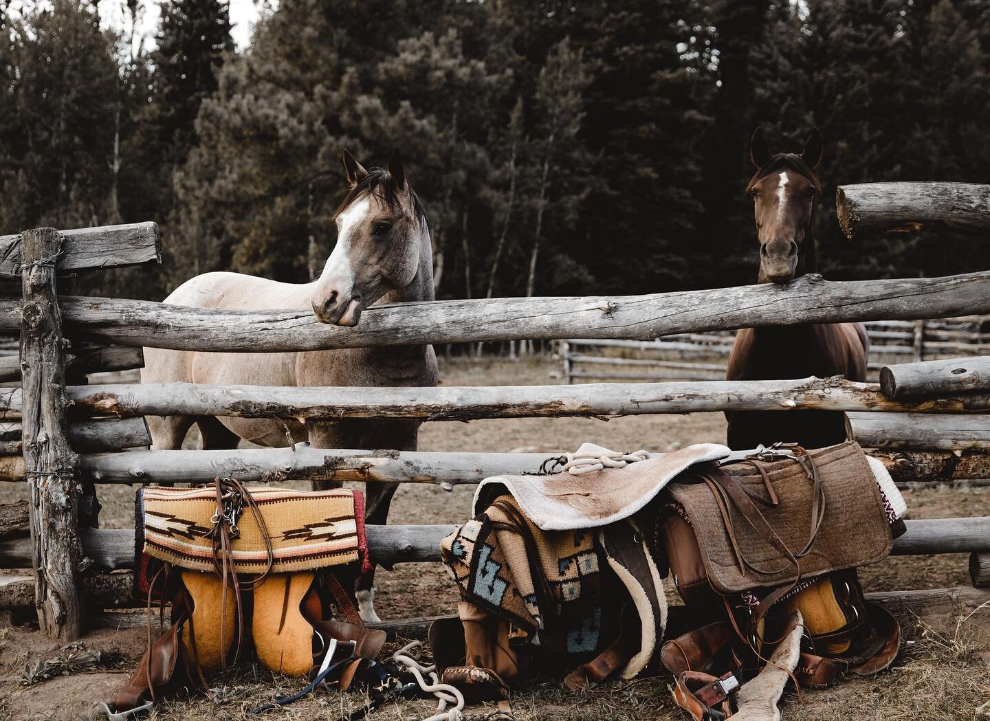 Photos — Red Horse Riding Co.