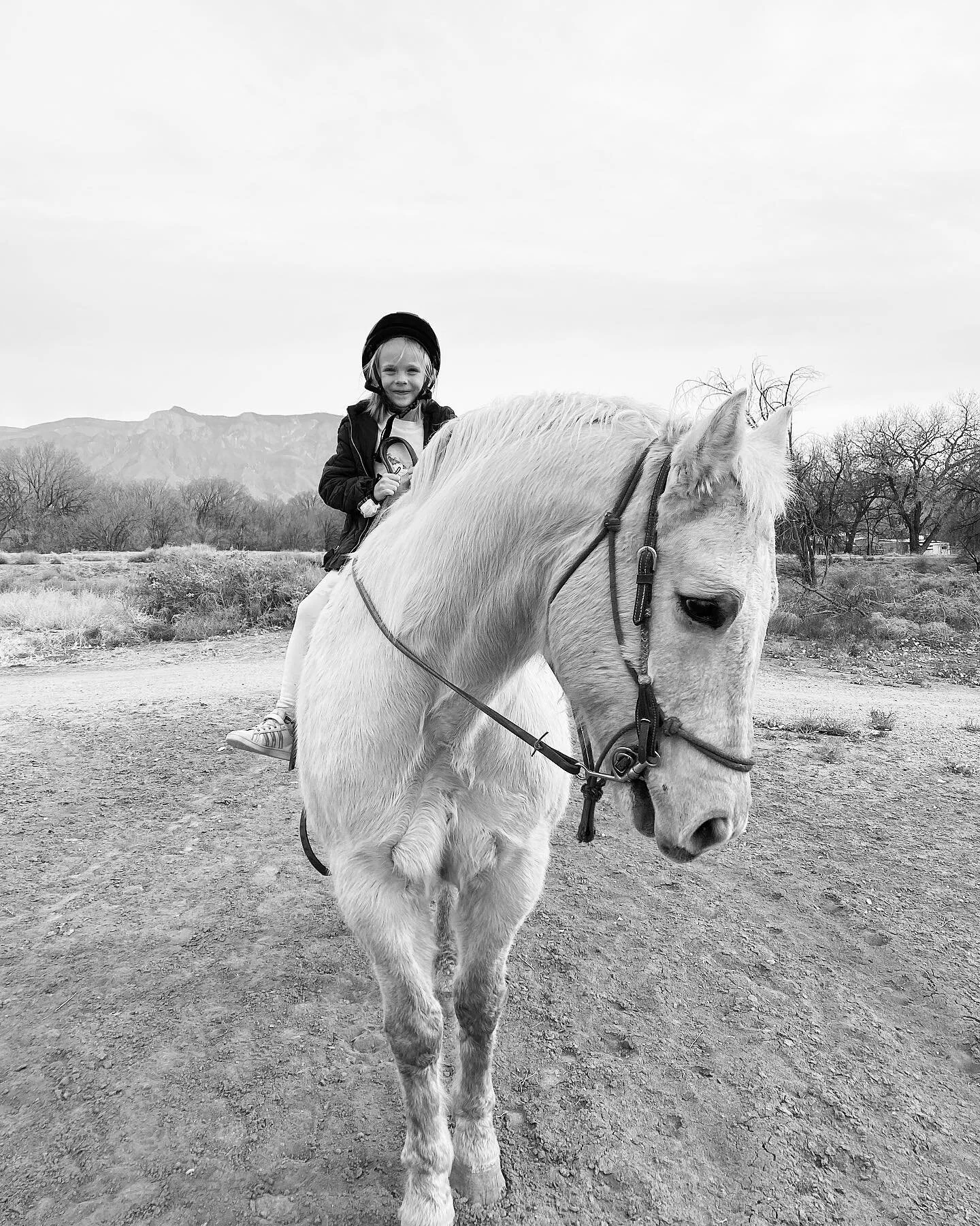Photos — Red Horse Riding Co.