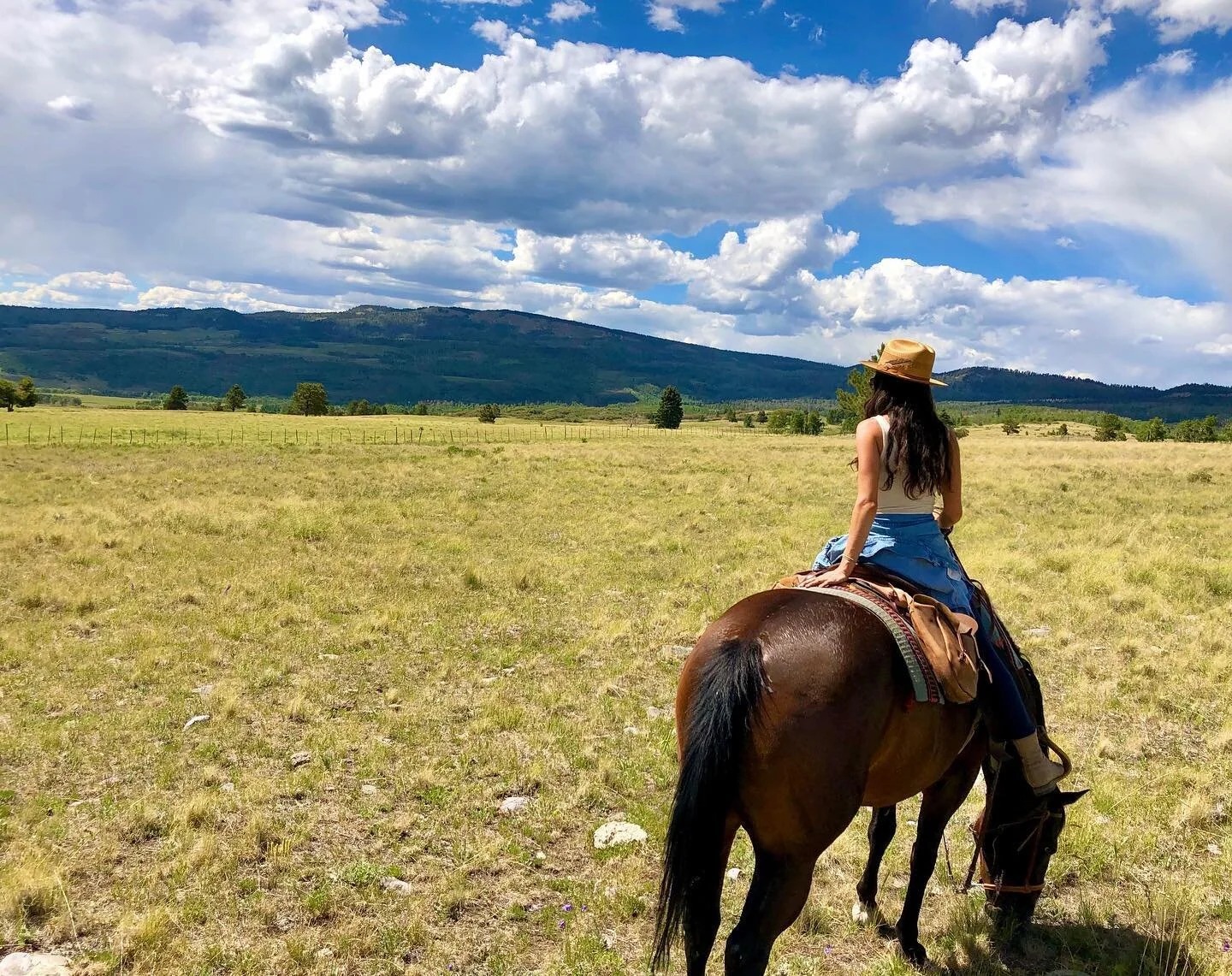 Photos — Red Horse Riding Co.