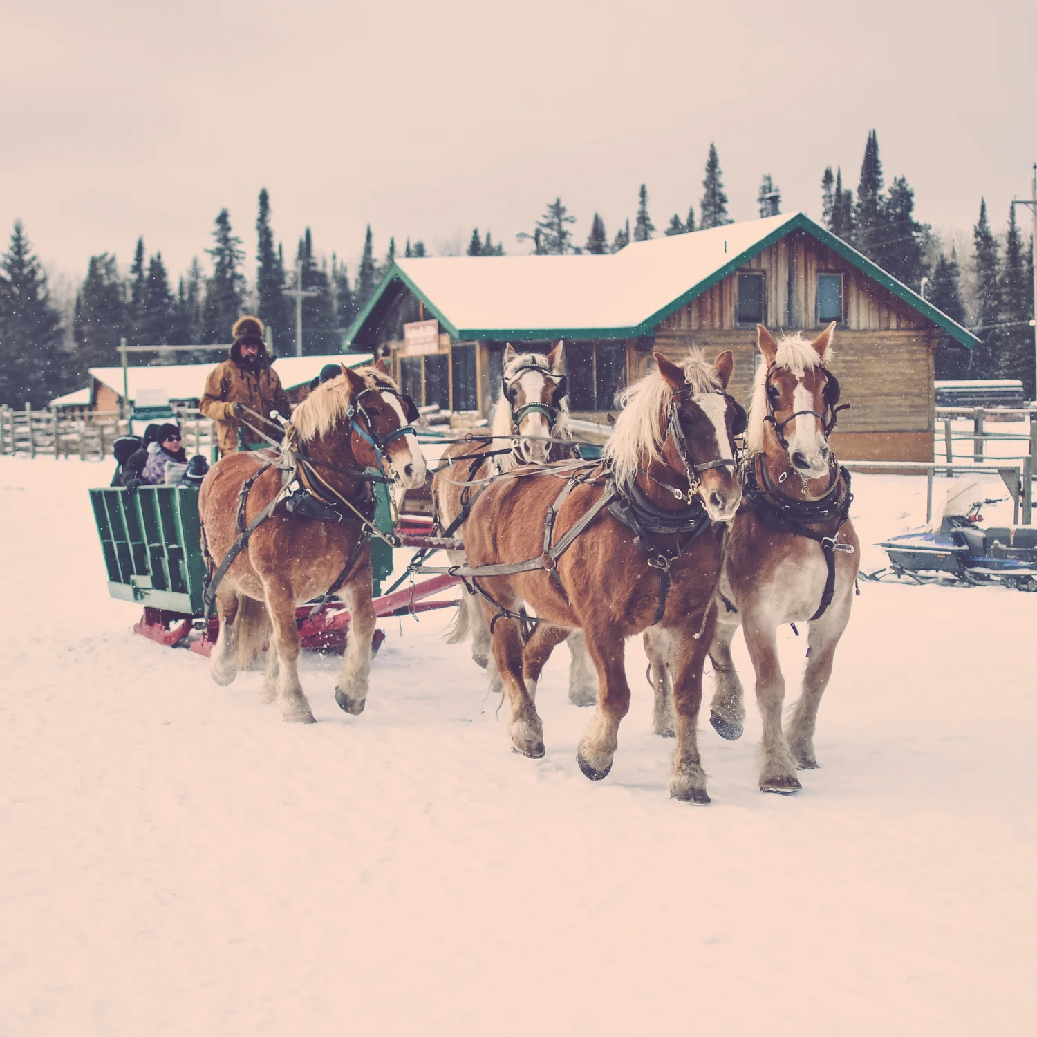 Winter Activities - Sleigh & Horseback Rides — Falcon Beach Ranch