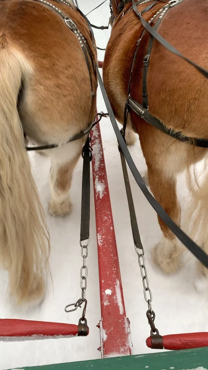 Horse, Ranch & Cabin Photo Gallery — Falcon Beach Ranch