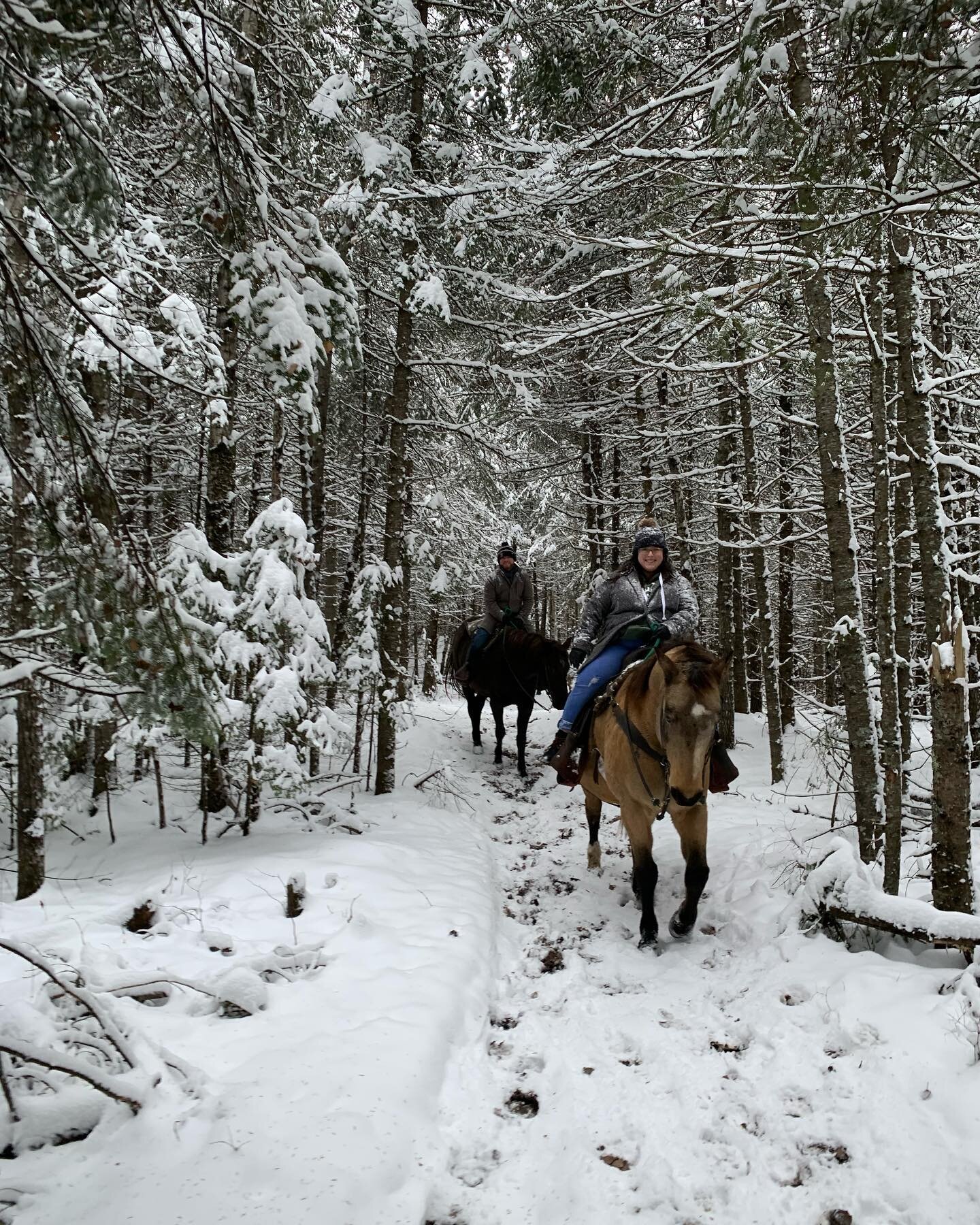 Horse, Ranch & Cabin Photo Gallery — Falcon Beach Ranch