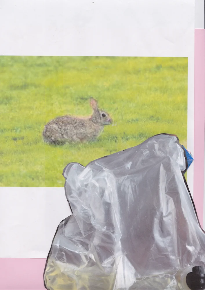 Liz Rudnick Art — Liz Rudnick