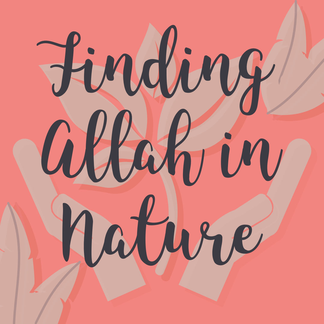 Finding Allah in Nature: How Faith Informs My Climate Activism ...