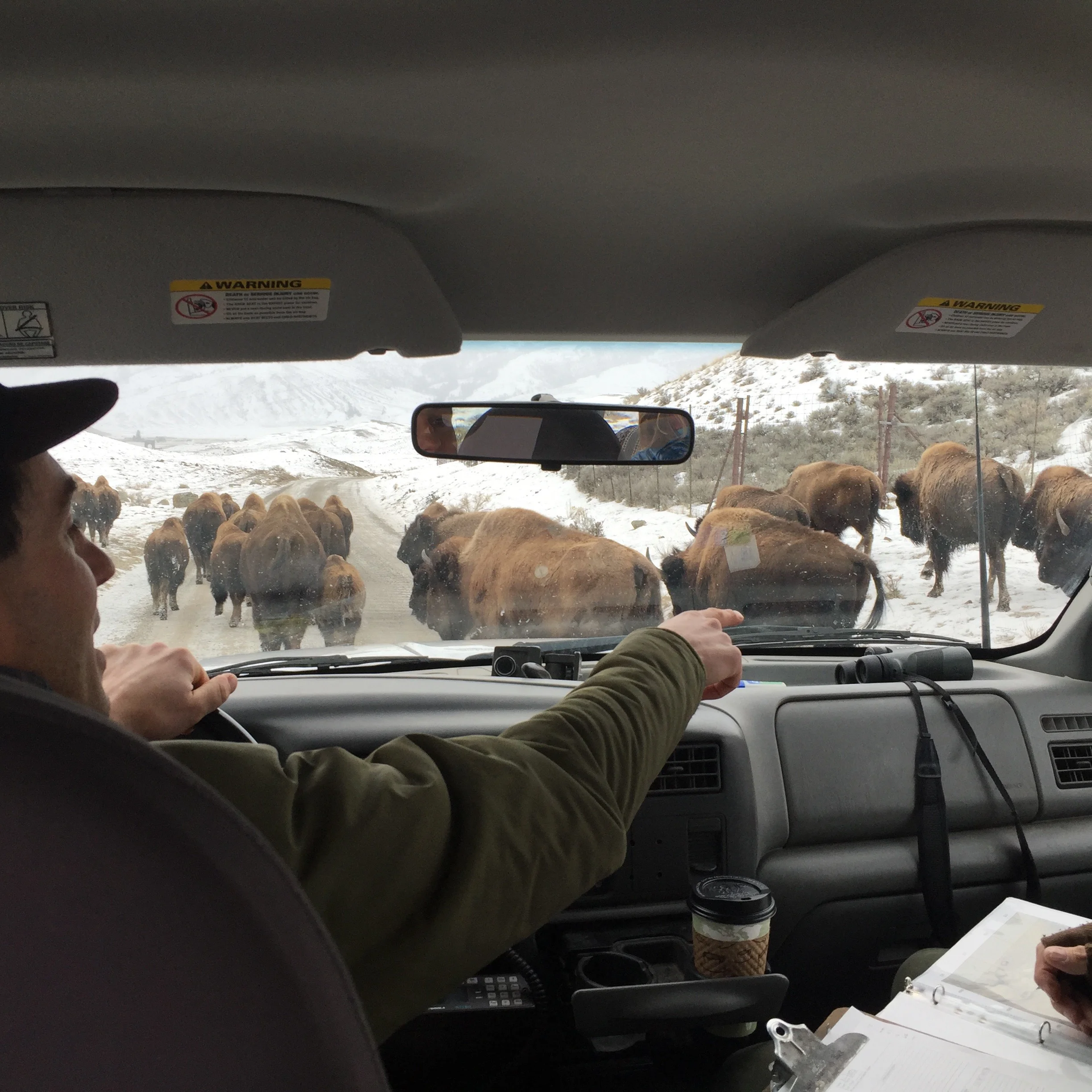 Threshold Season 1: Oh, Give Me A Home