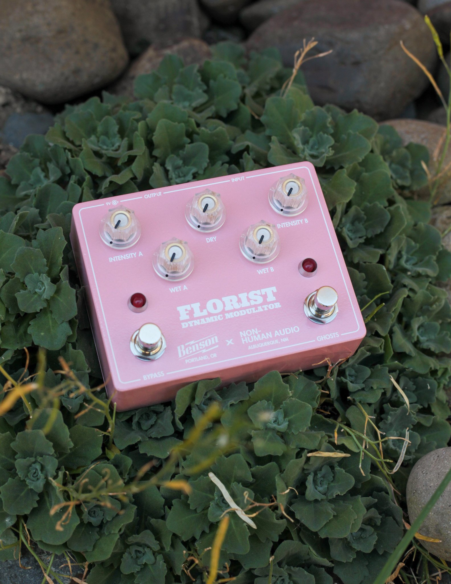 Florist — BENSON AMPS