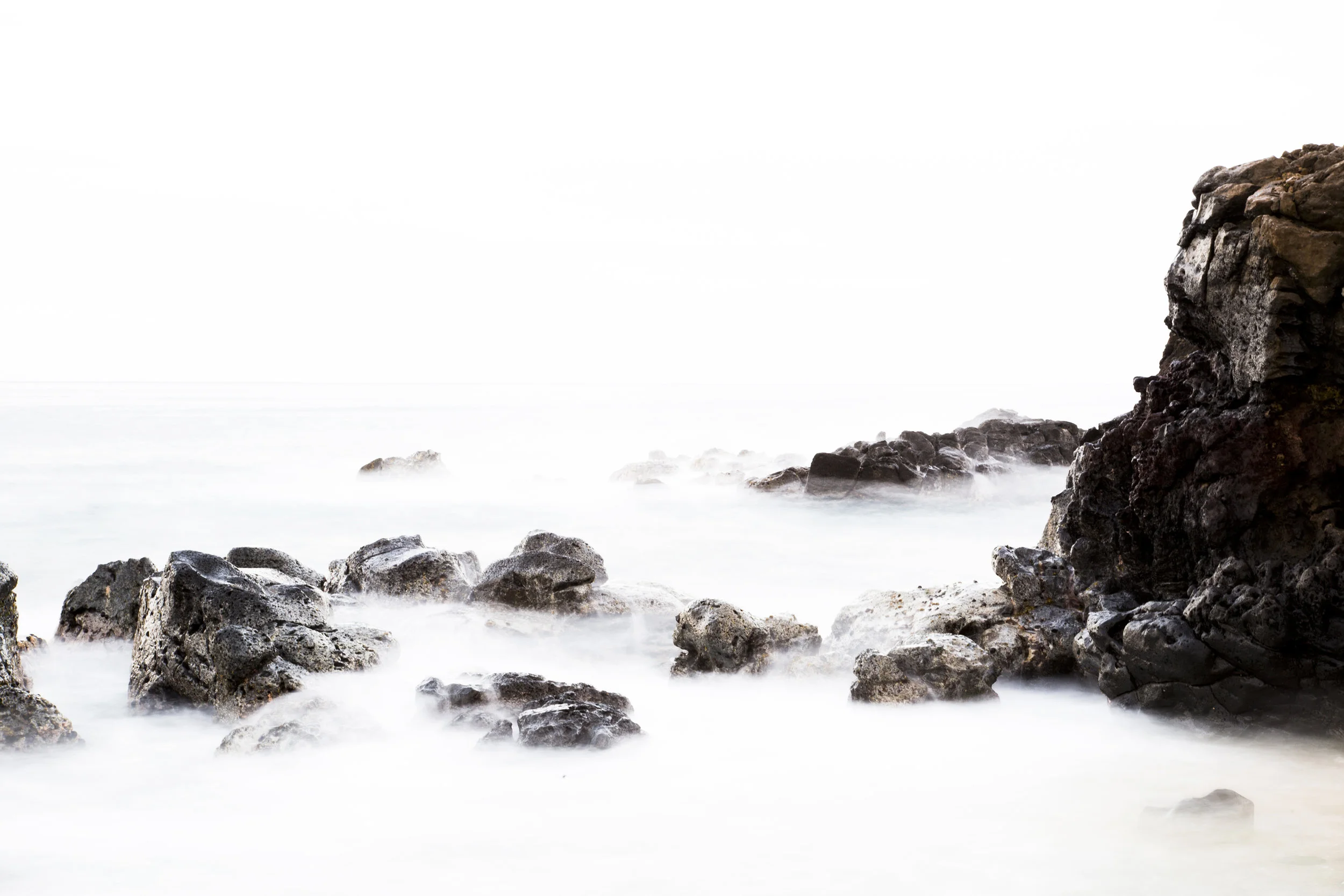 Elvis Li Photography