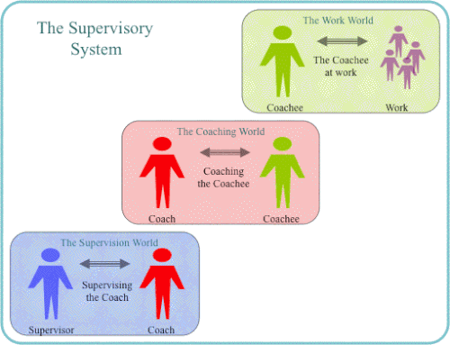The 3W4T Model of Supervision — Mike the Mentor - Coaching Beyond Ego