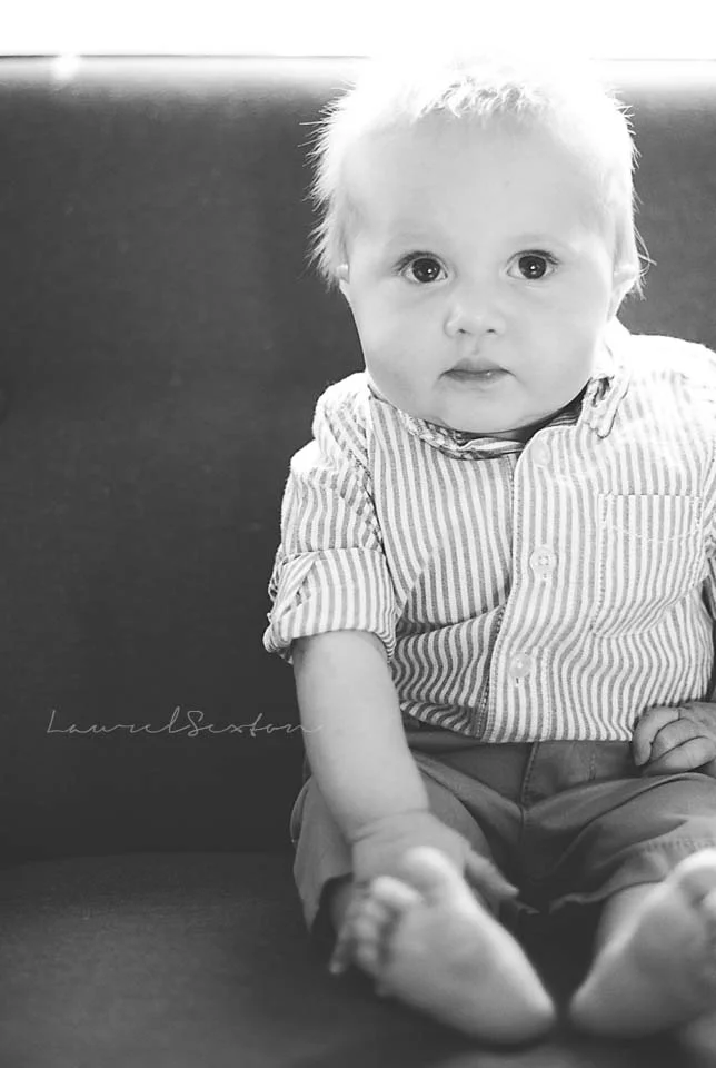Blog — Laurel Sexton Photography