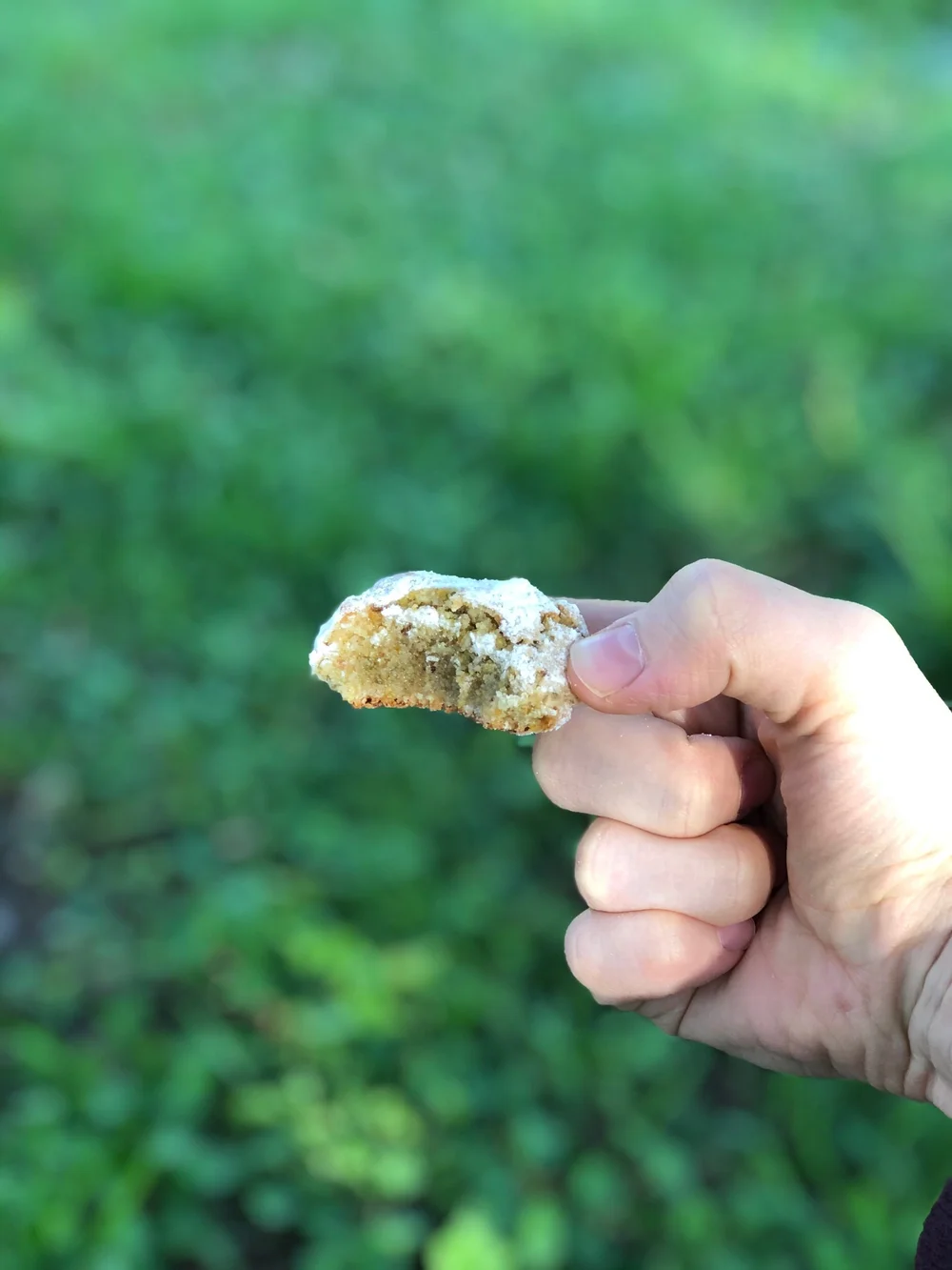 Paste di Pistacchio Siciliane - Sicilian Pistachio Cookies — JennyBlogs