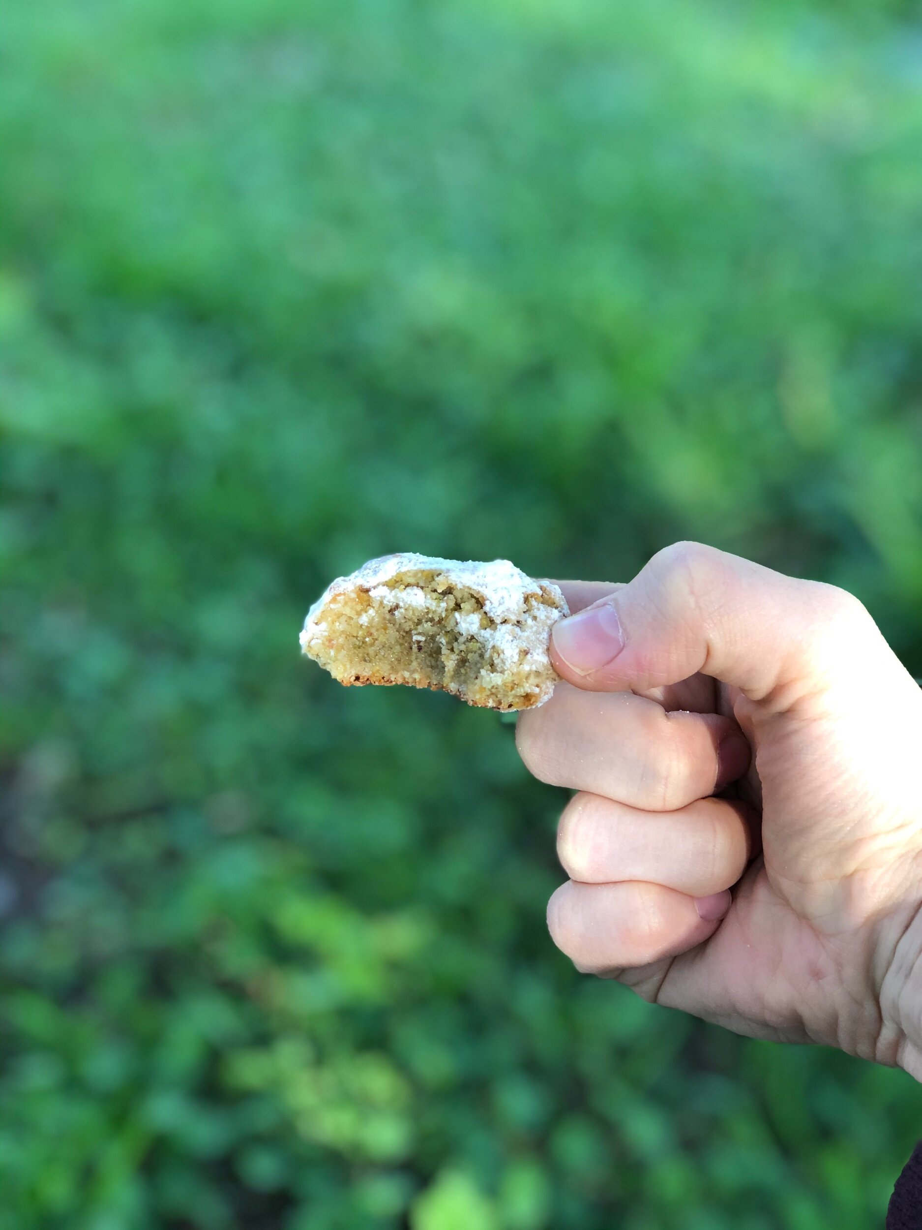 Paste di Pistacchio Siciliane - Sicilian Pistachio Cookies — JennyBlogs