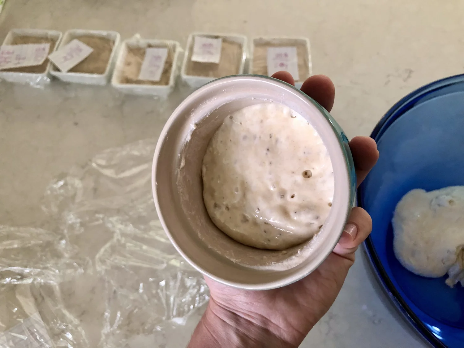 How to Test Your Flour's Hydration Capacity — JennyBlogs