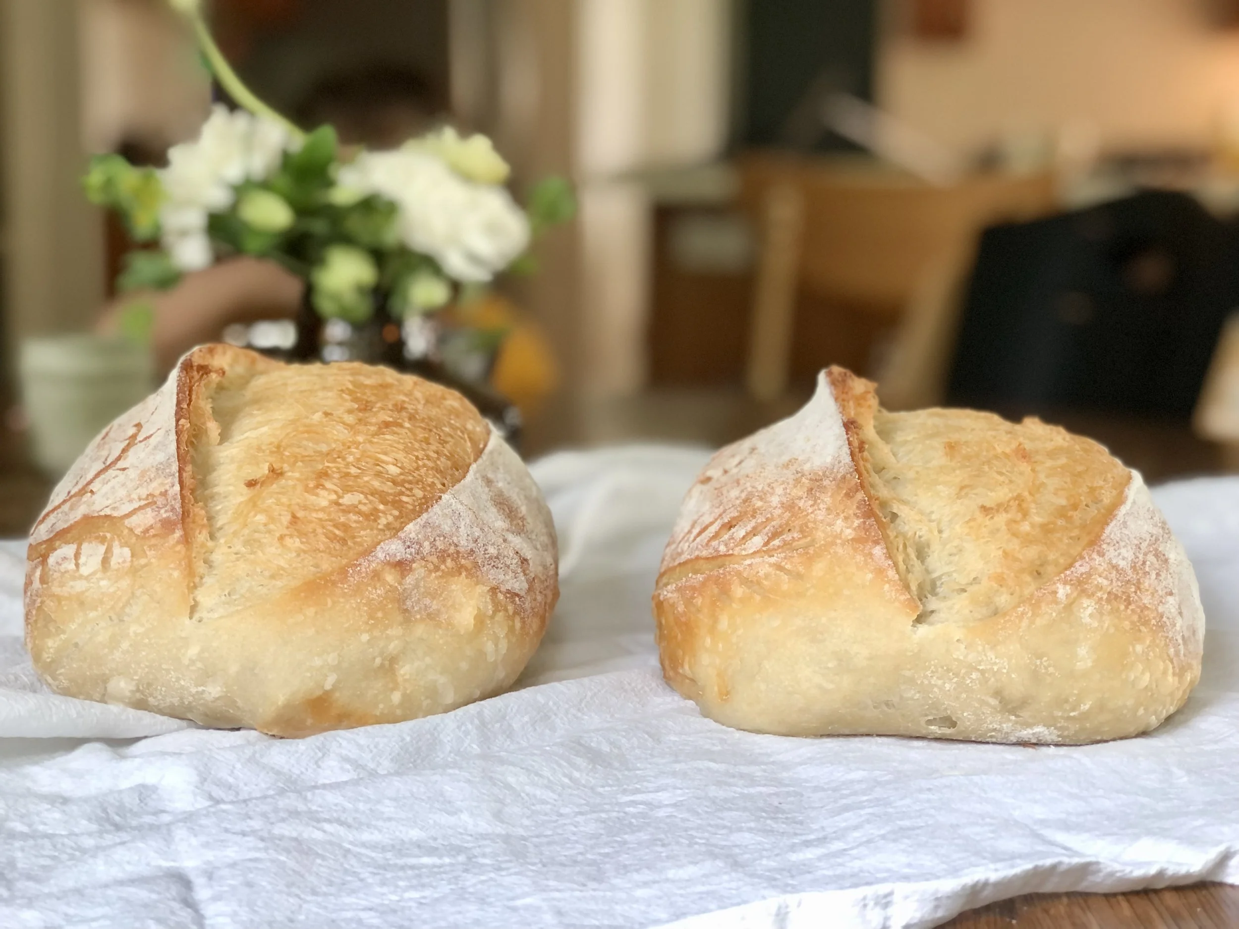 Using All-Purpose Flour vs. Bread Flour in Sourdough Bread — JennyBlogs