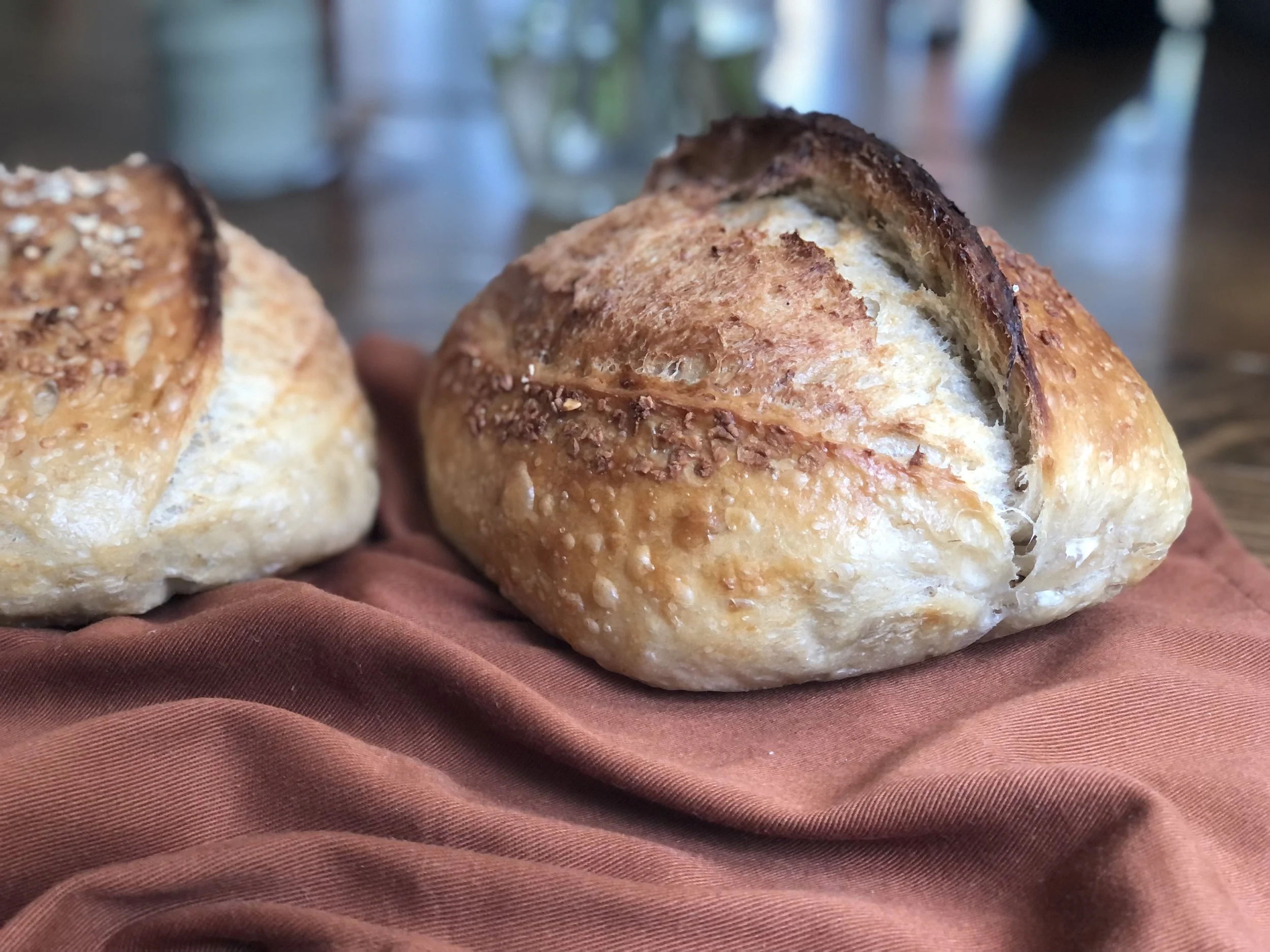 How to Test Your Flour's Hydration Capacity — JennyBlogs