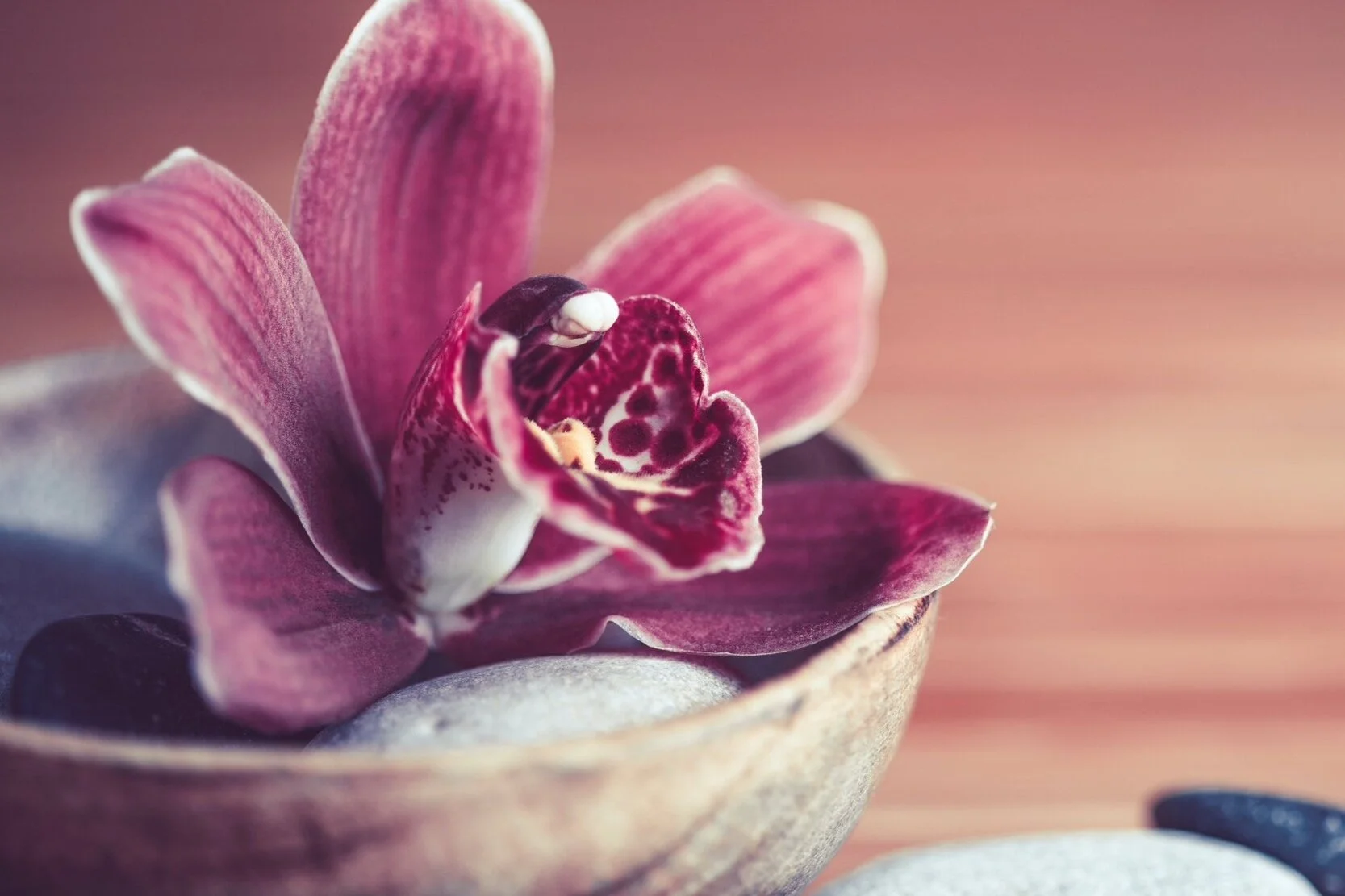 Skin Spa Asheville Spa Packages | Facials & Massage