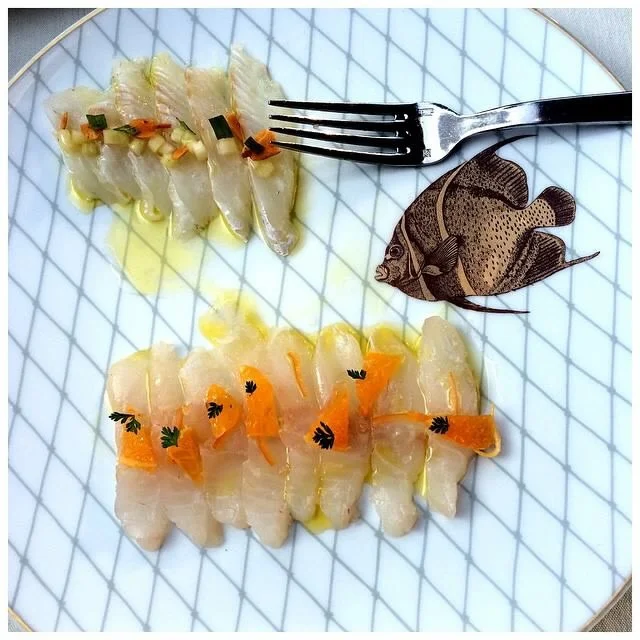 Cooking and Eating Fish: The Fear & How to Get Over It — Andrea's Cooktales