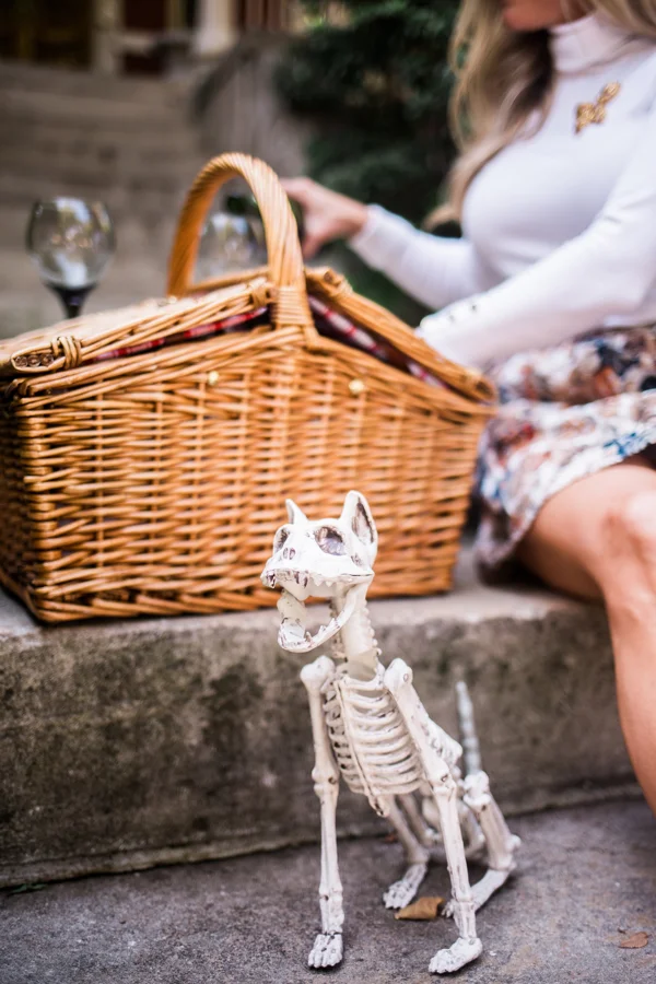 How To Have a Halloween (or Fall) Picnic — Andrea's Cooktales