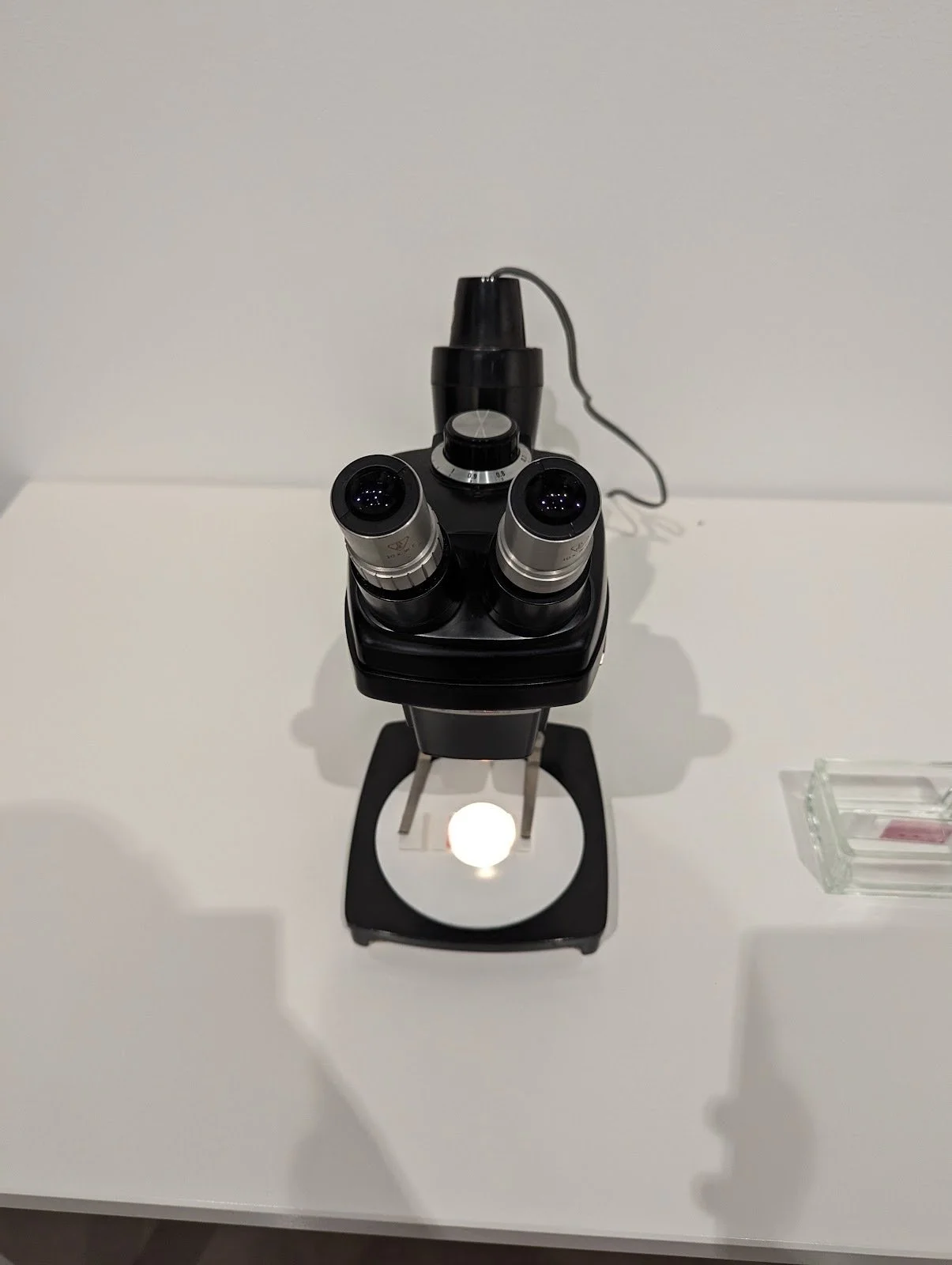 Chaffey College's Evolutionary Ecology Lecture — The Breeze