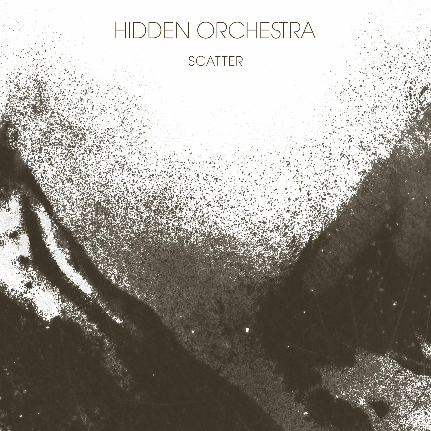 Hidden Orchestra