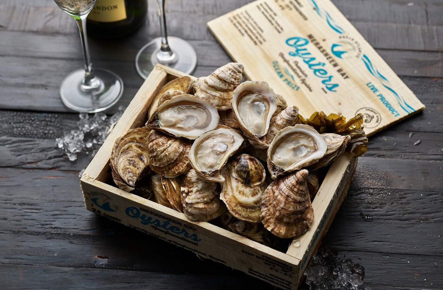 Aphrodite Oysters — Blog - Oyster Nutrition - Oysters 101