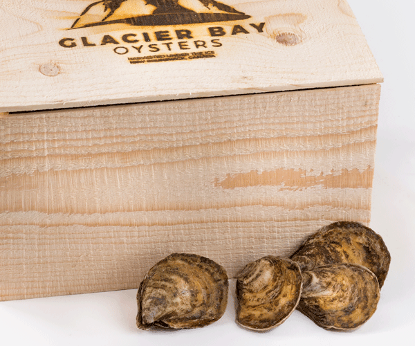 Aphrodite Oysters — Blog - Oyster Nutrition - Oysters 101
