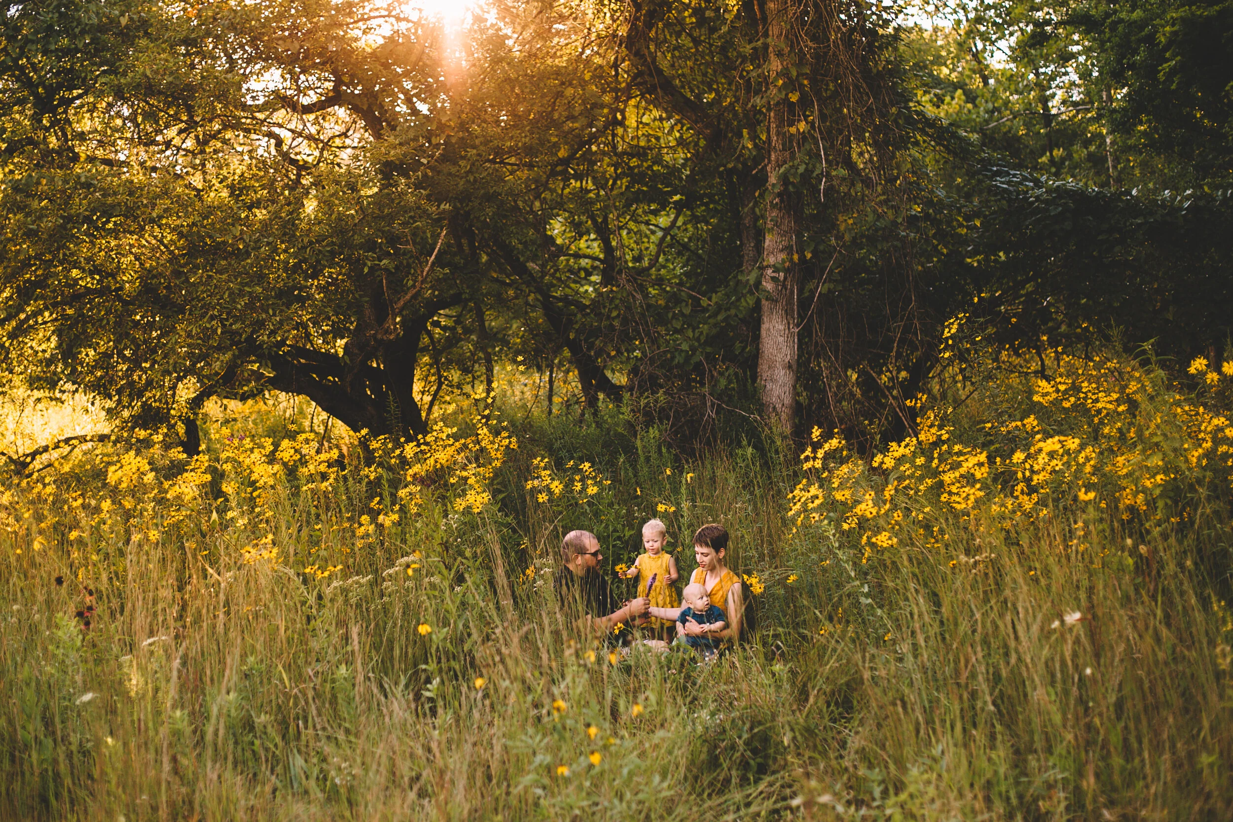 The McClellan Family's Sunset Field Session