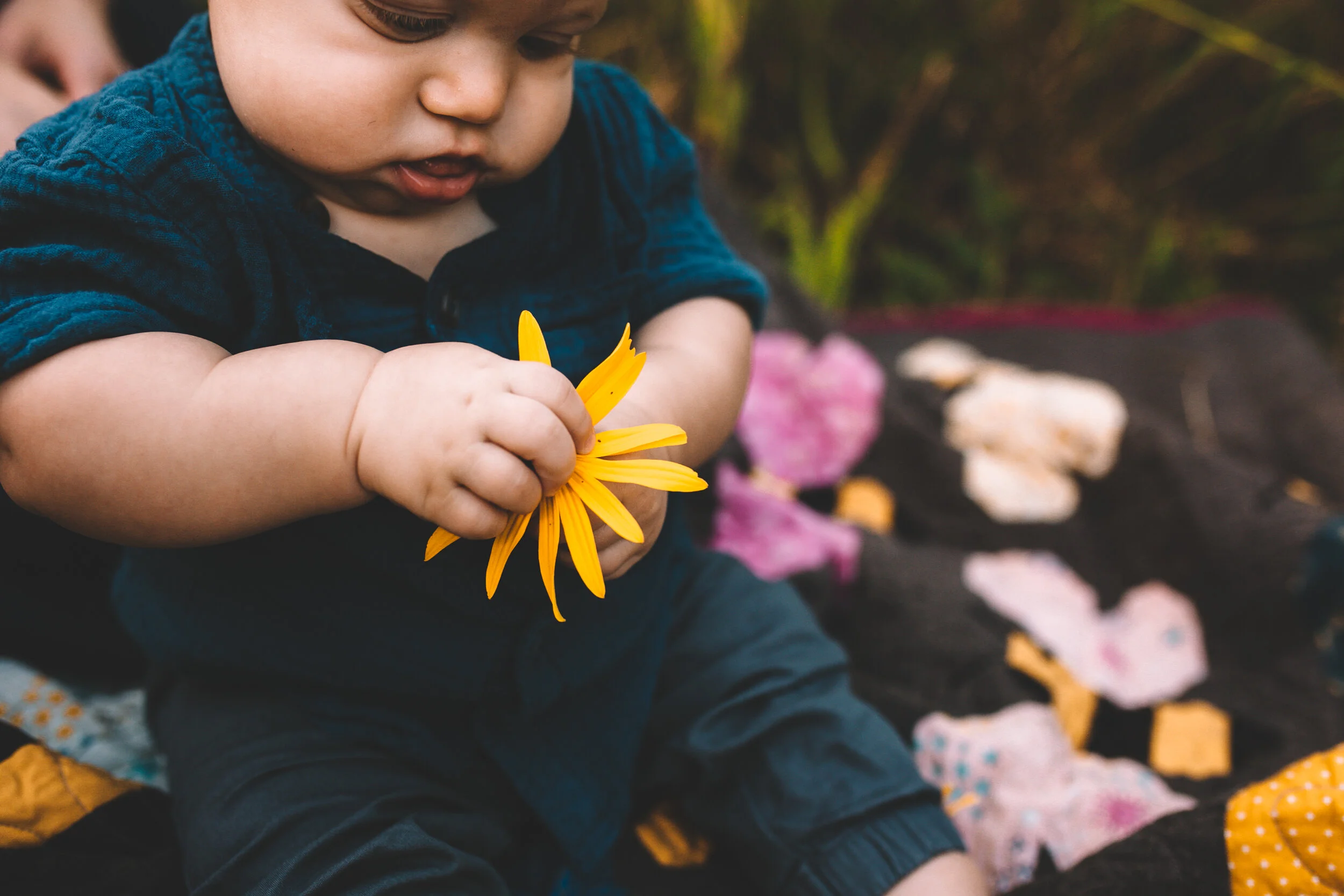 The McClellan Family's Sunset Field Session