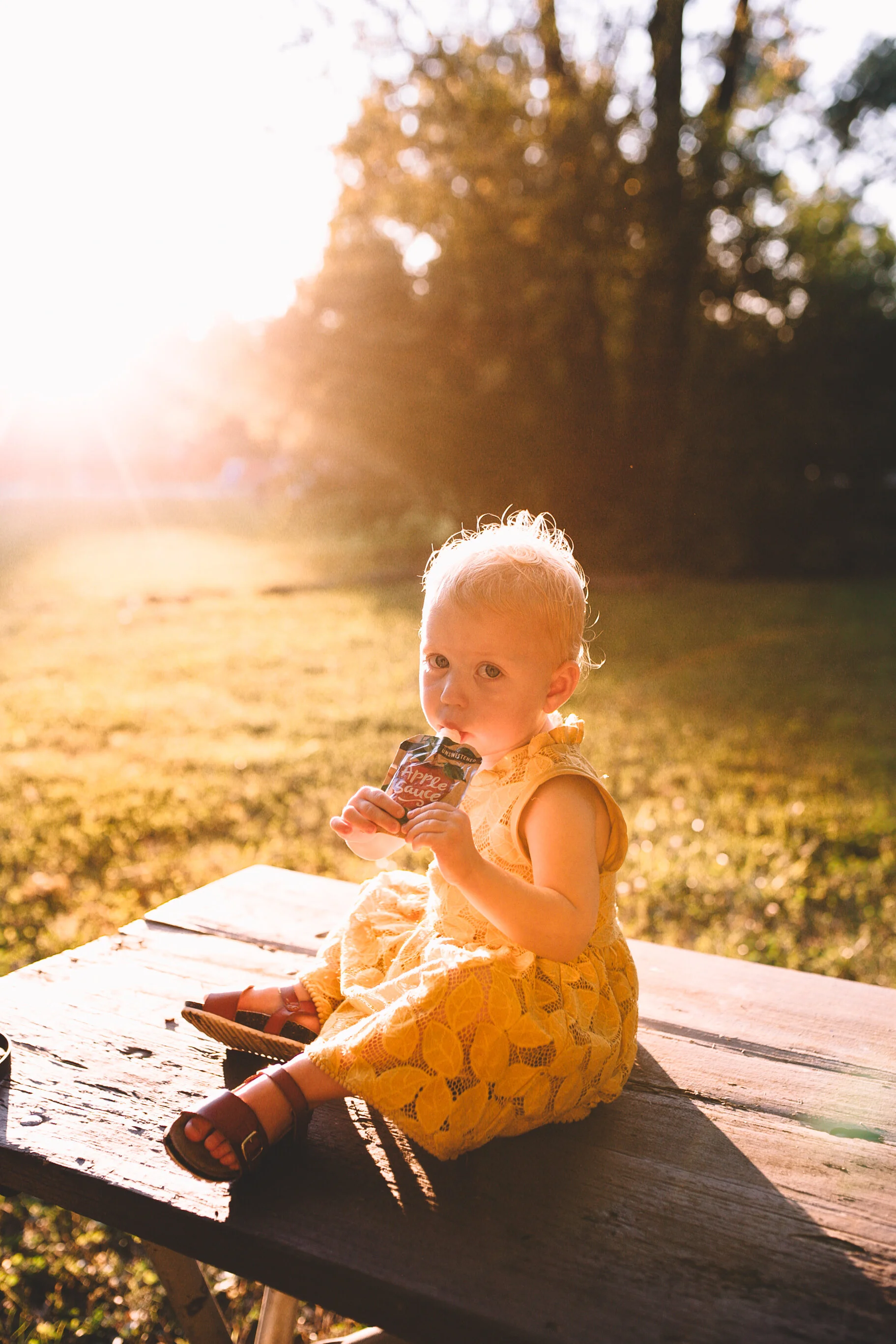 The McClellan Family's Sunset Field Session