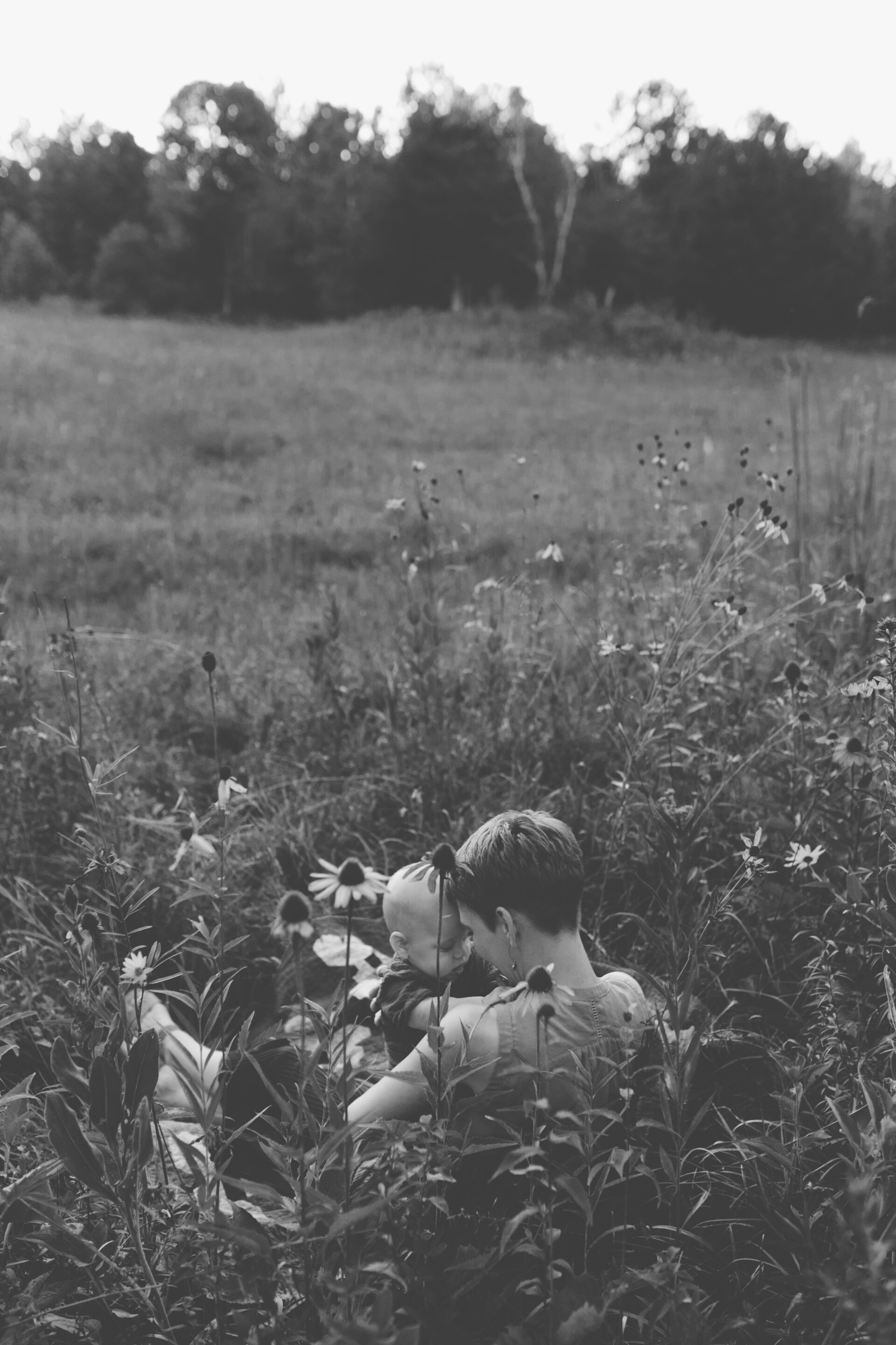 The McClellan Family's Sunset Field Session