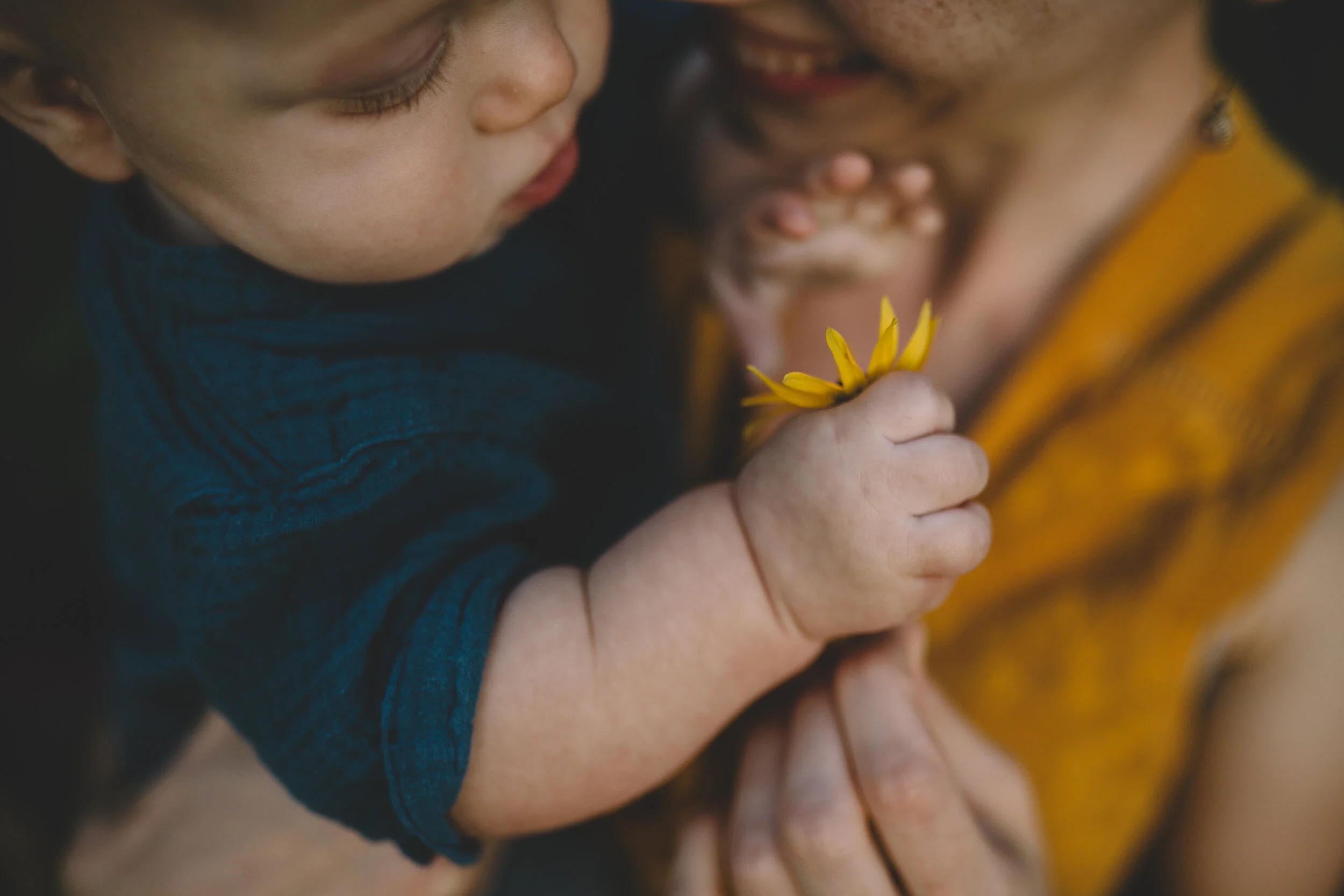 The McClellan Family's Sunset Field Session