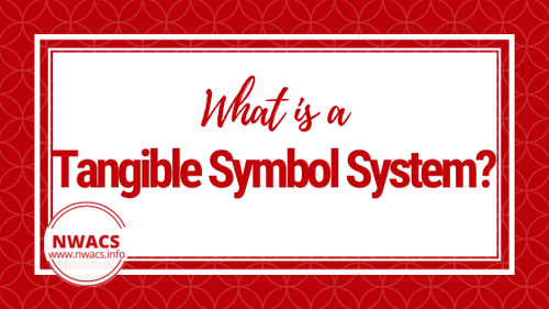 What is a Tangible Symbol System? — NWACS