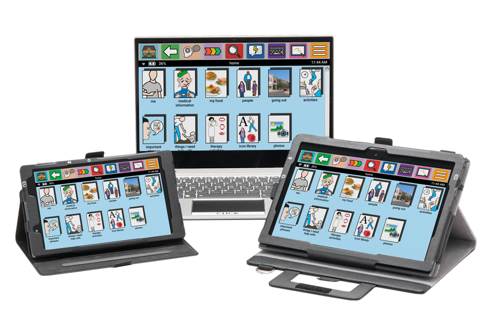 Get to Know: Lingraphica — NWACS