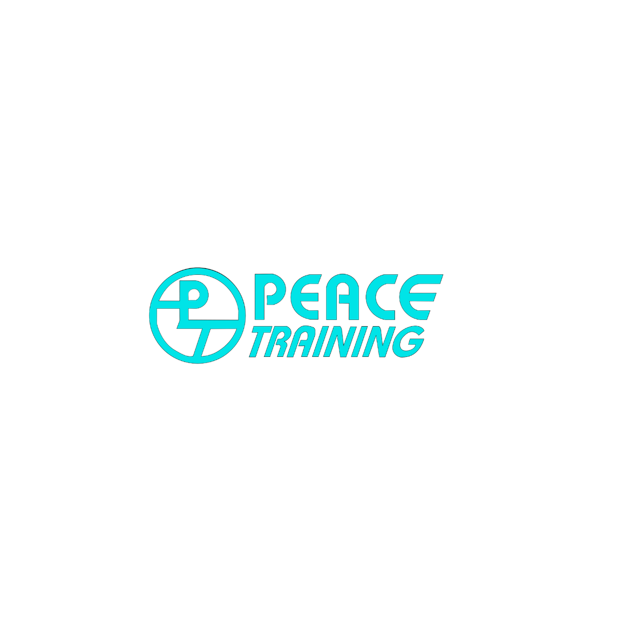 Overview — PEACE TRAINING