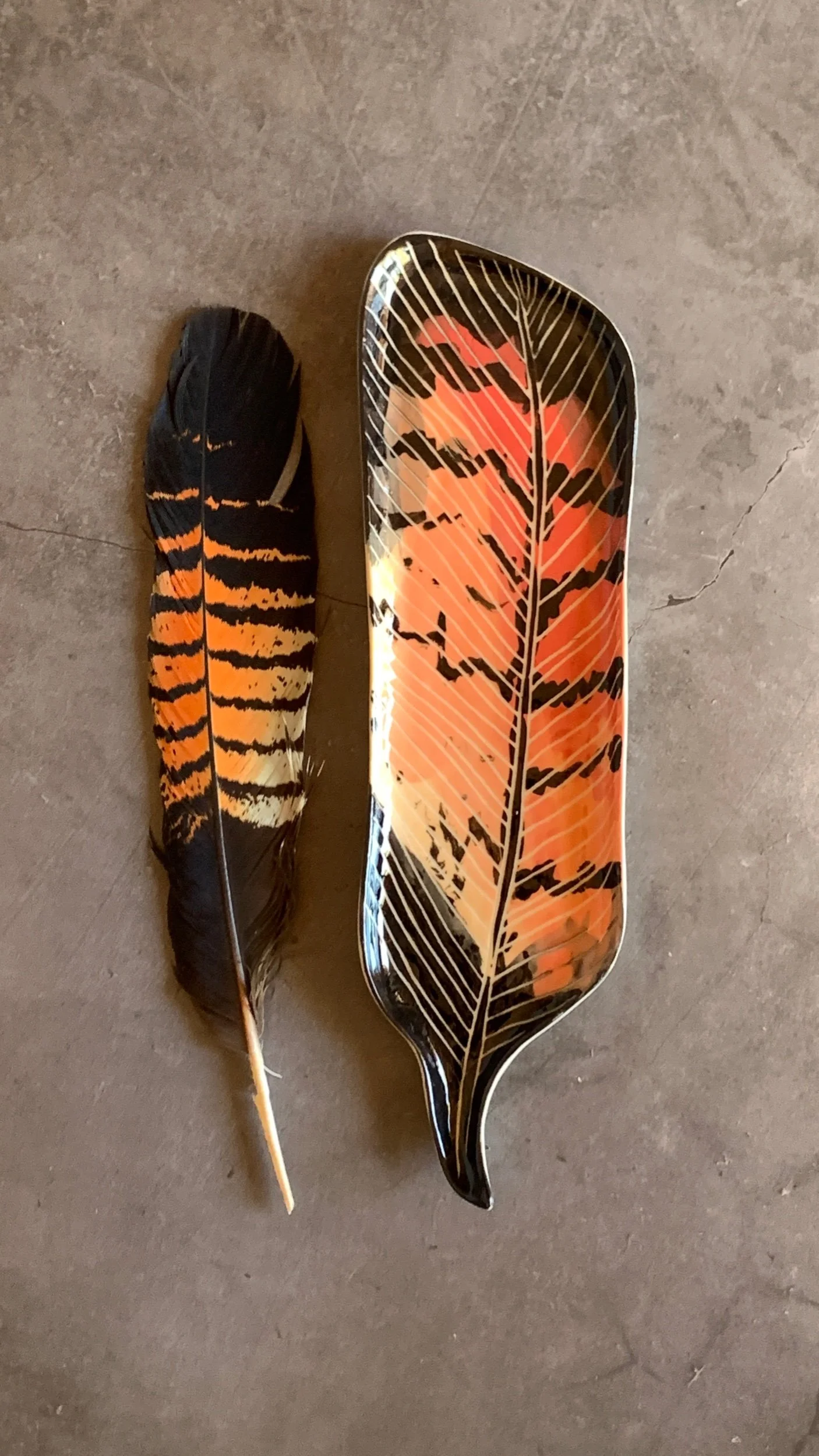 Red-tail black cockatoo sgraffito plates — Rediscover Ceramics