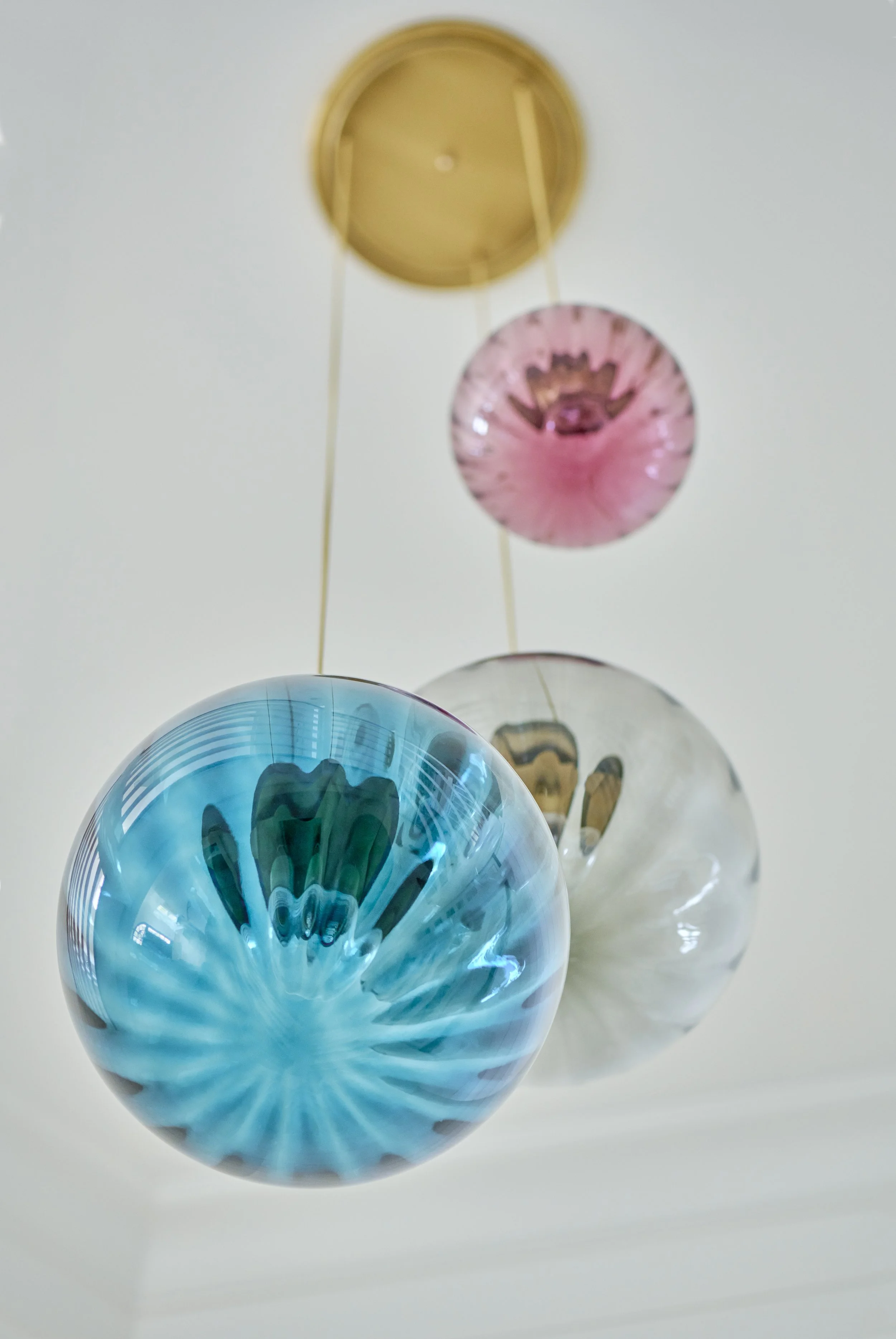 Taking Flight — Moss Design