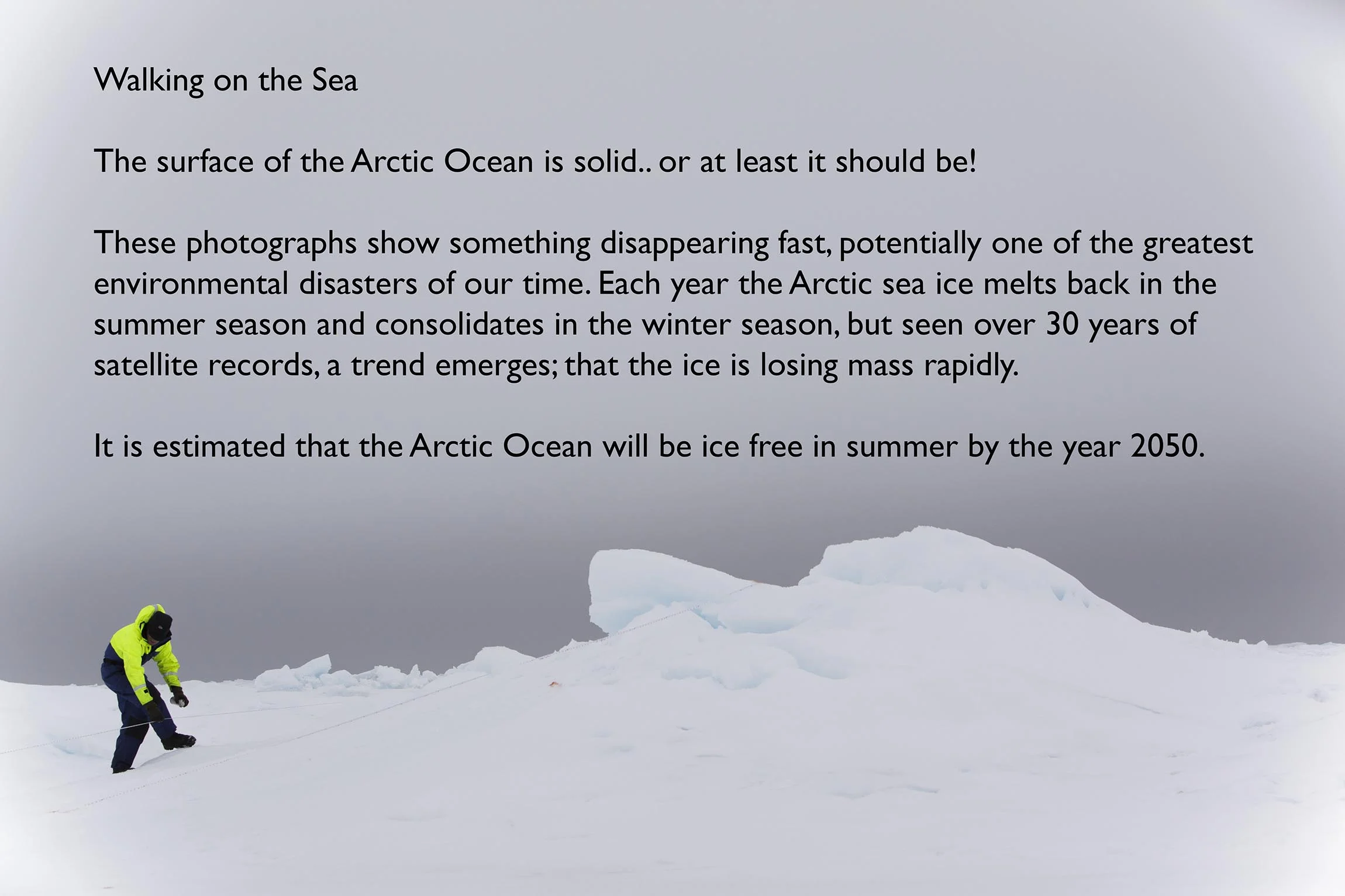 Polar Ocean Biome